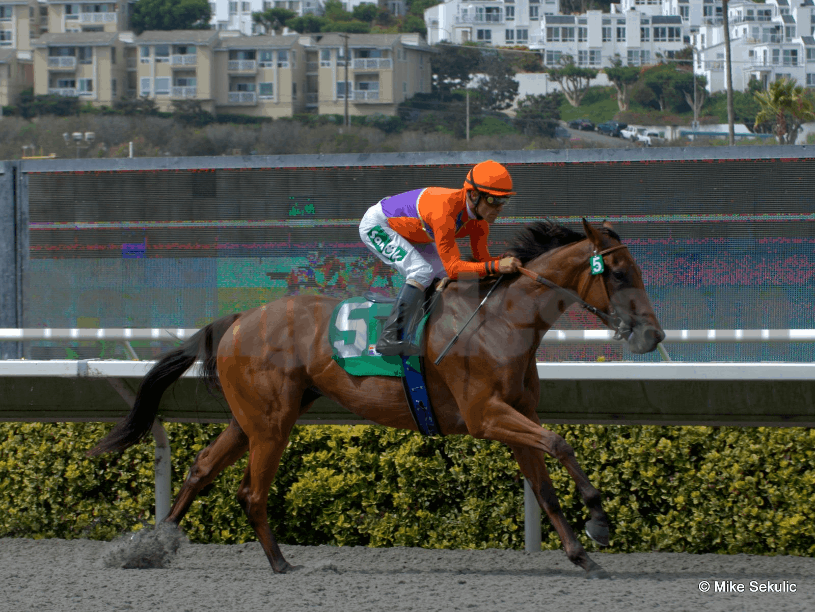 Racing Dudes Three Stars of the Week - Racing Dudes