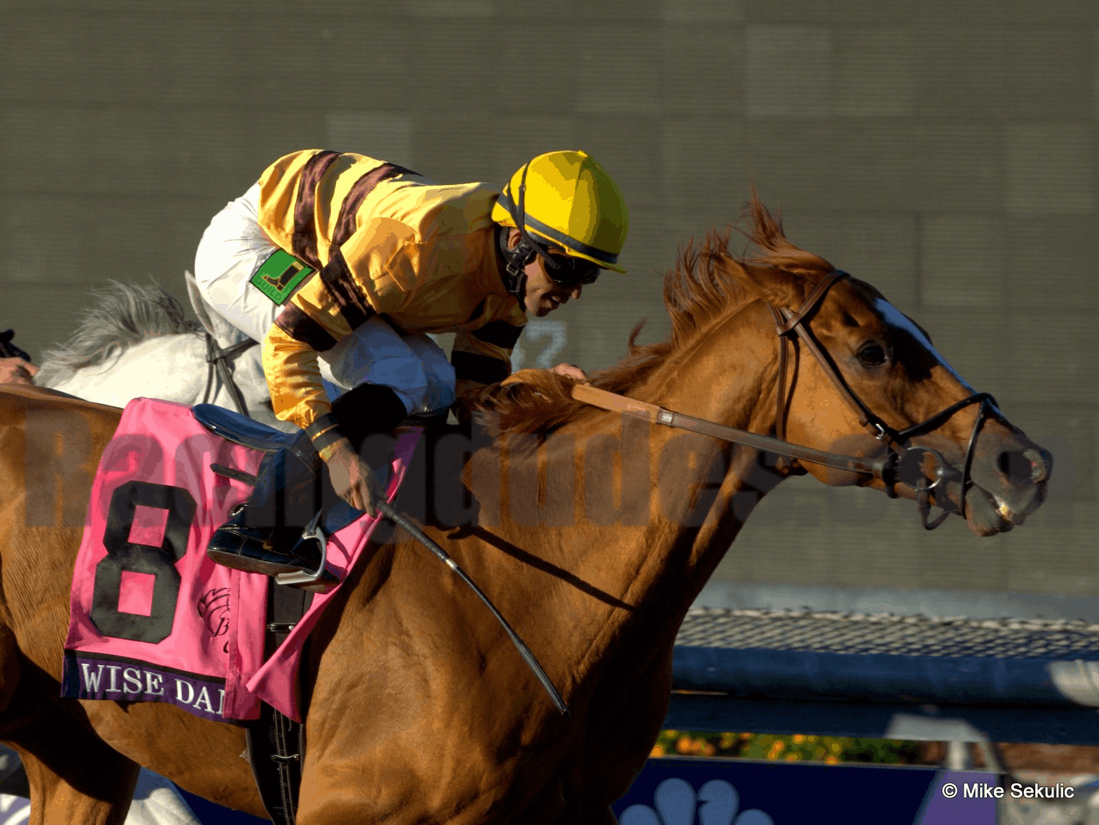 Racing Dudes Divisional Rankings