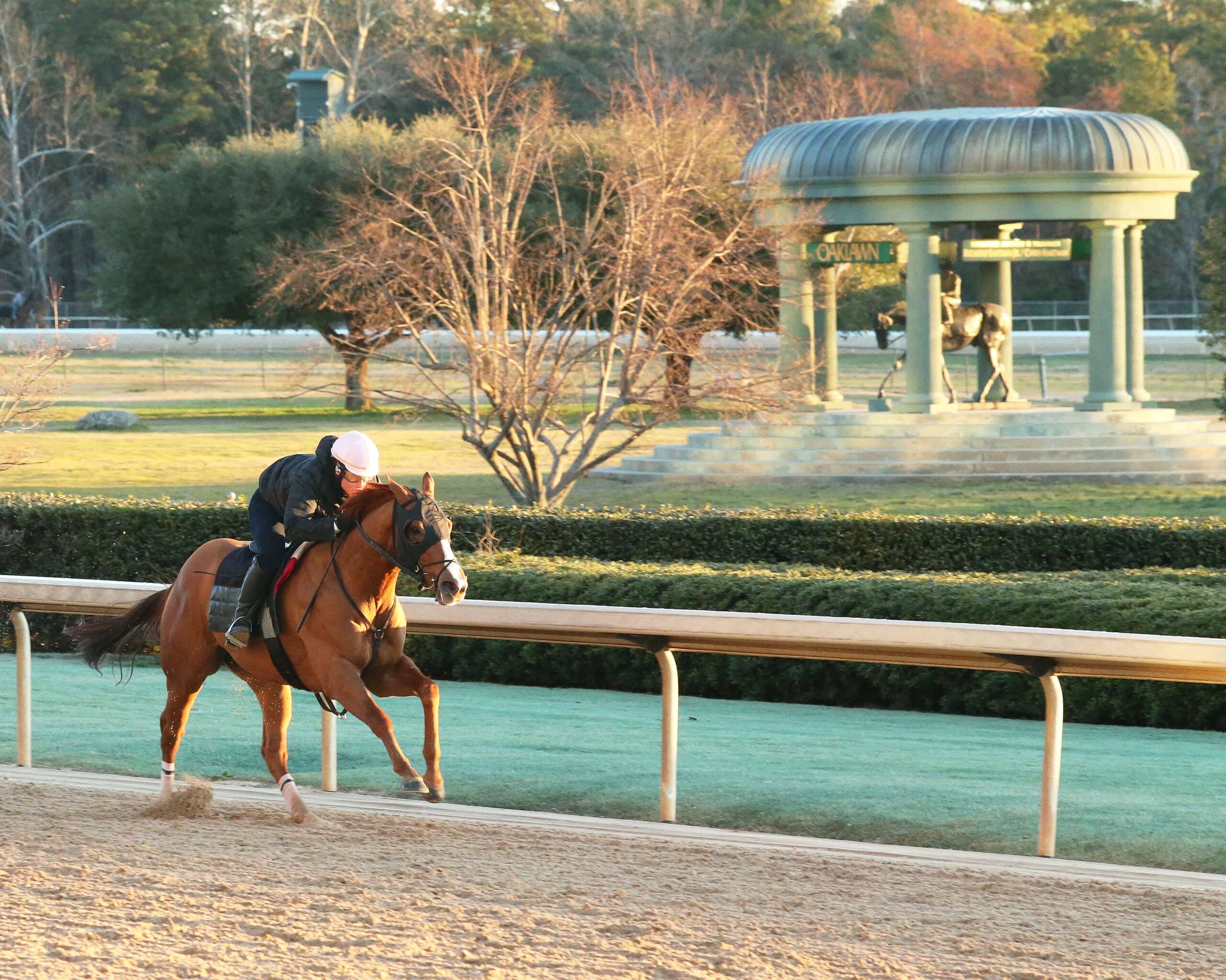 Count Fleet Preview: Whitmore Seeking Third Title