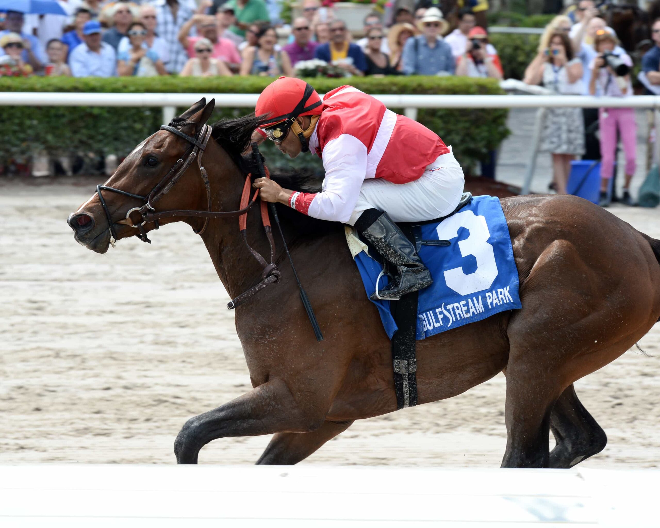 Black-Eyed Susan News & Notes: Go Maggie Go, Ma Can Do It Team Up