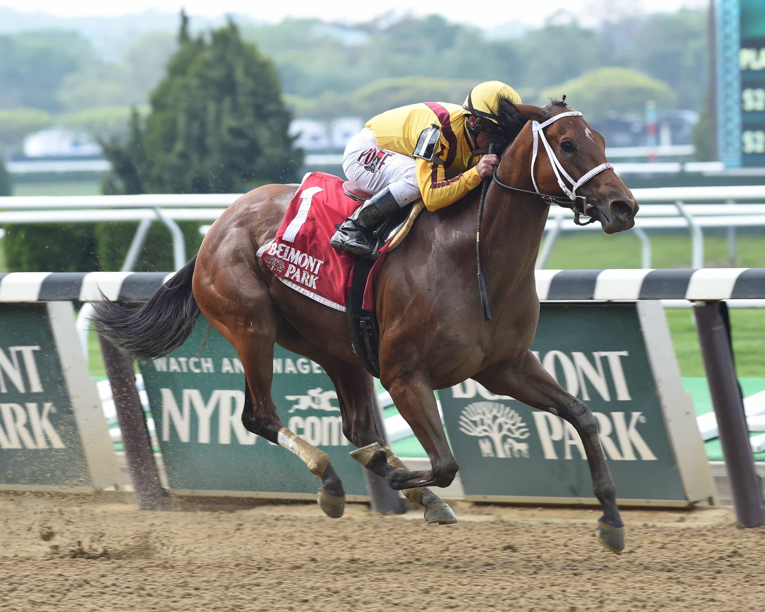Cavorting Much the Best in G2 Ruffian