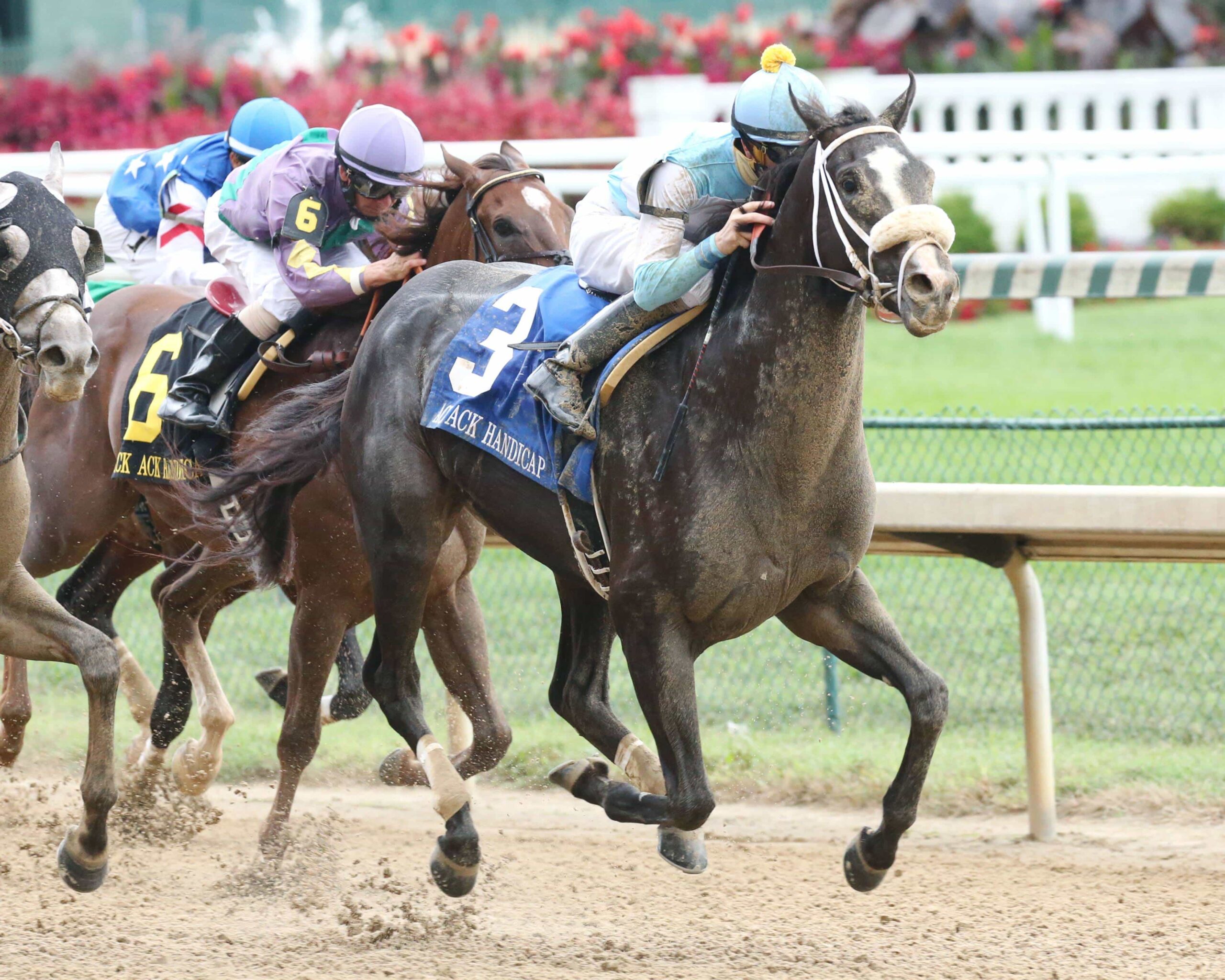 Racing Dudes Three Stars of the Week: Tom's Ready Impresses in Bold Ruler