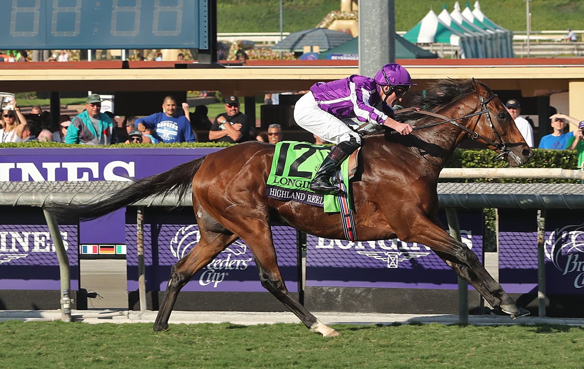 Globetrotter Highland Reel Set for King George Appearance