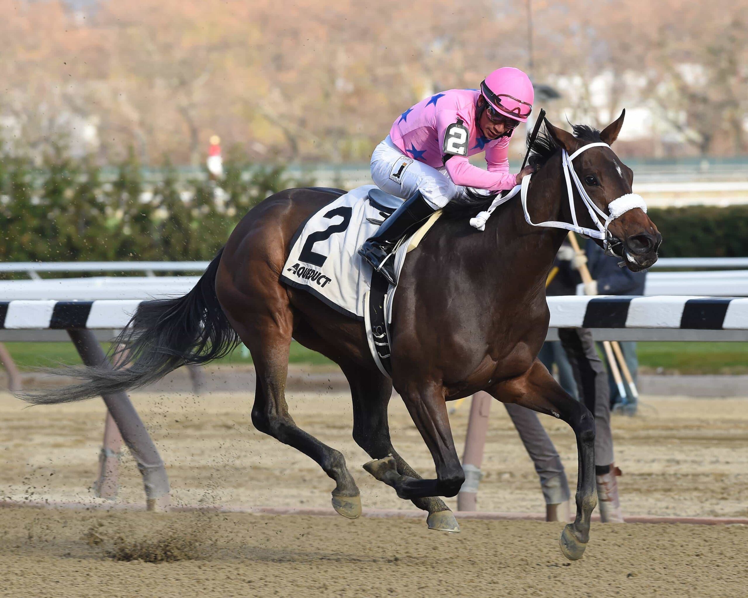 Miss Sky Warrior Wires Field to Take G2 Demoiselle