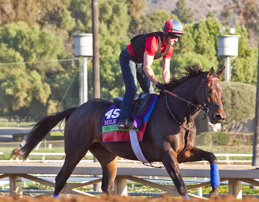 Racing Dudes Three Stars of the Week