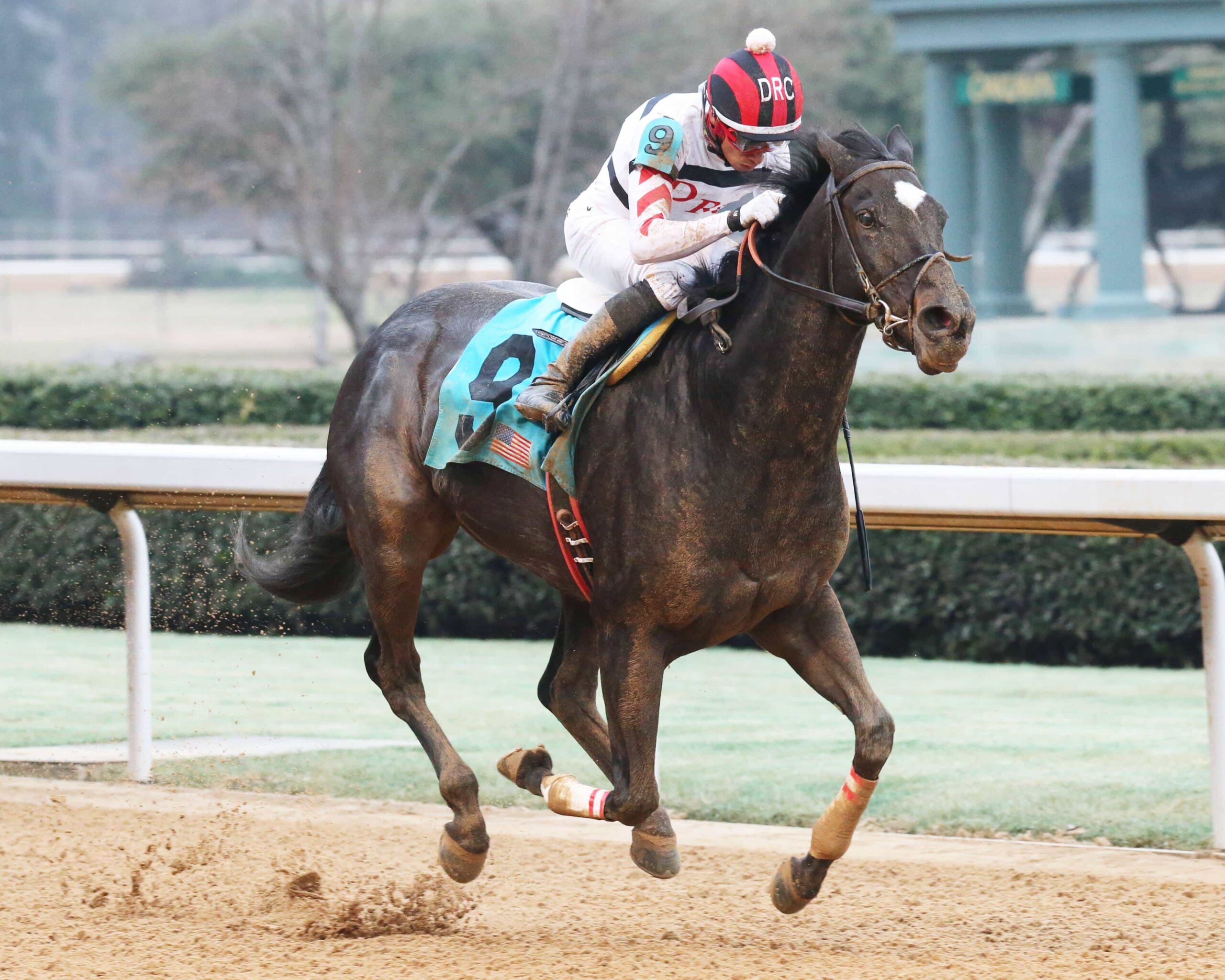 Domain's Rap Kicks off Opening Day With Win in Fifth Season