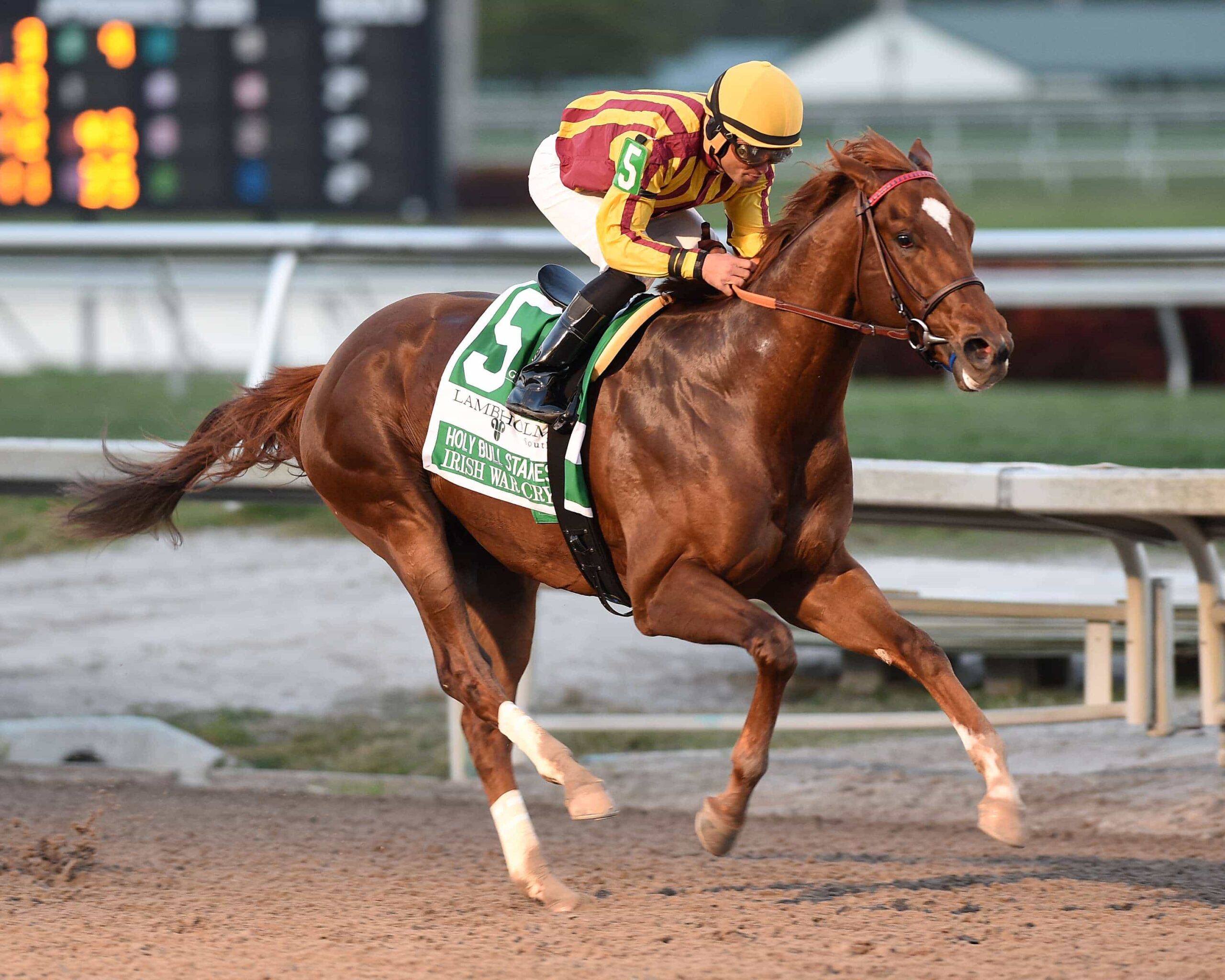 Irish War Cry Breezes Sunday for G2 Wood Memorial