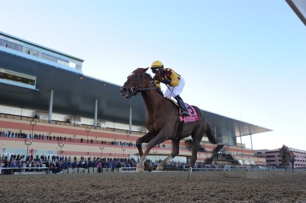Irish War Cry Bounces Back Big in G2 Wood Memorial