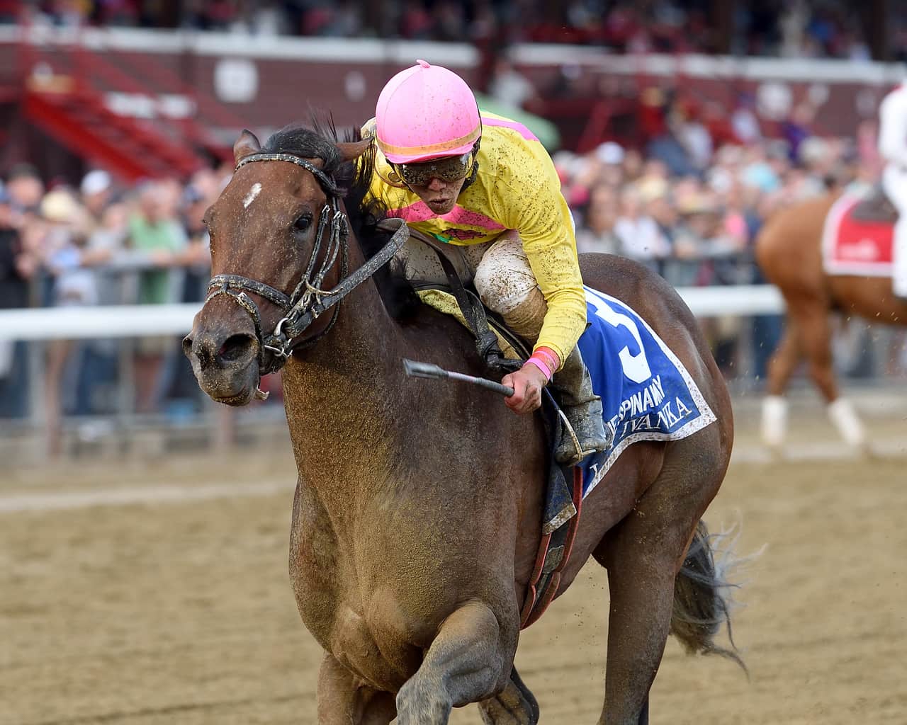Lady Ivanka Breeders' Cup-Bound After Winning G1 Spinaway