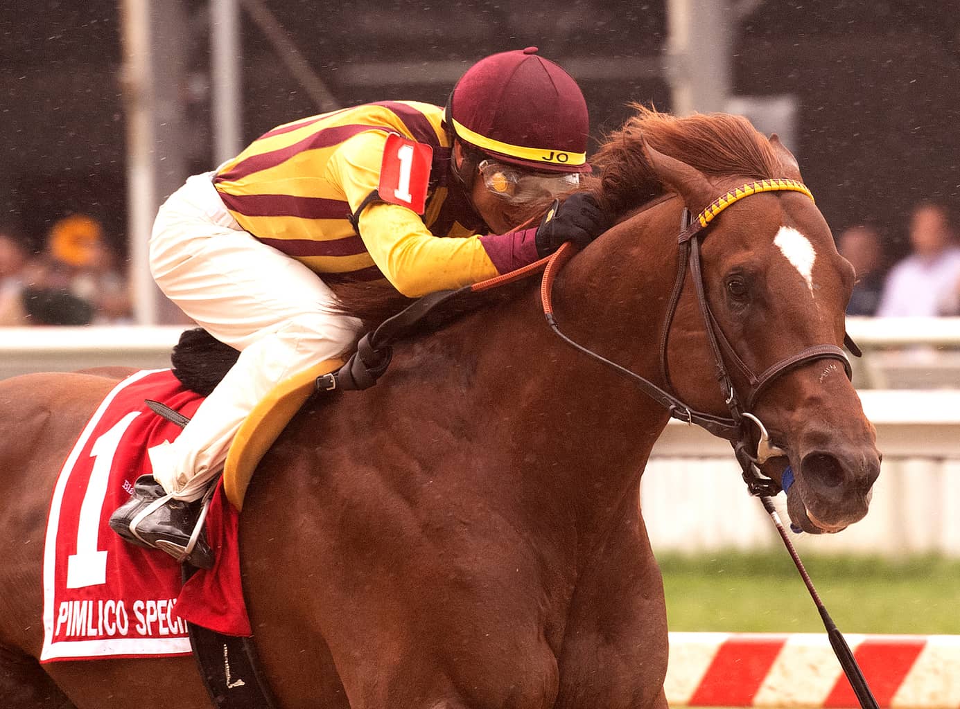 Irish War Cry Rebounds in G3 Pimlico Special