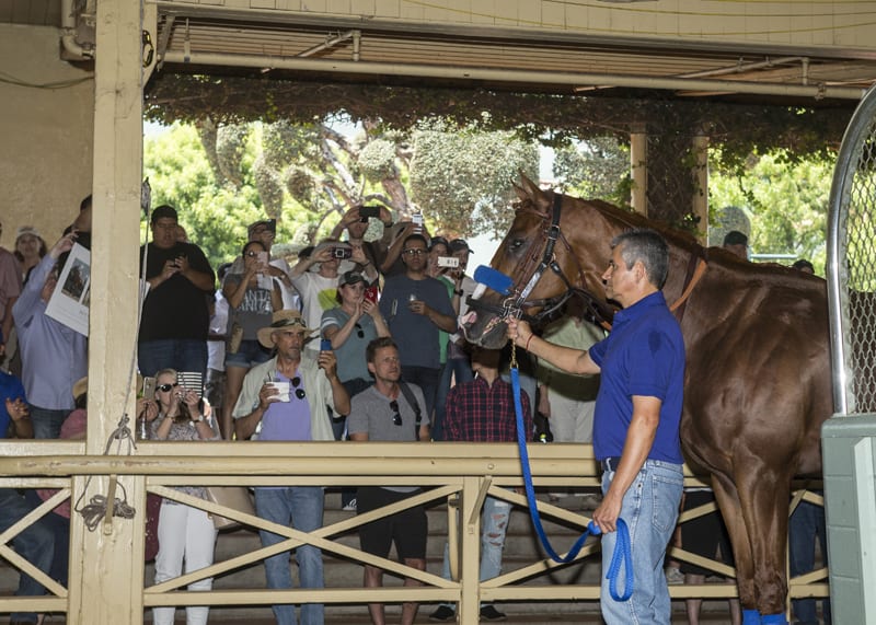 An Ode to Justify on “Justify Day”