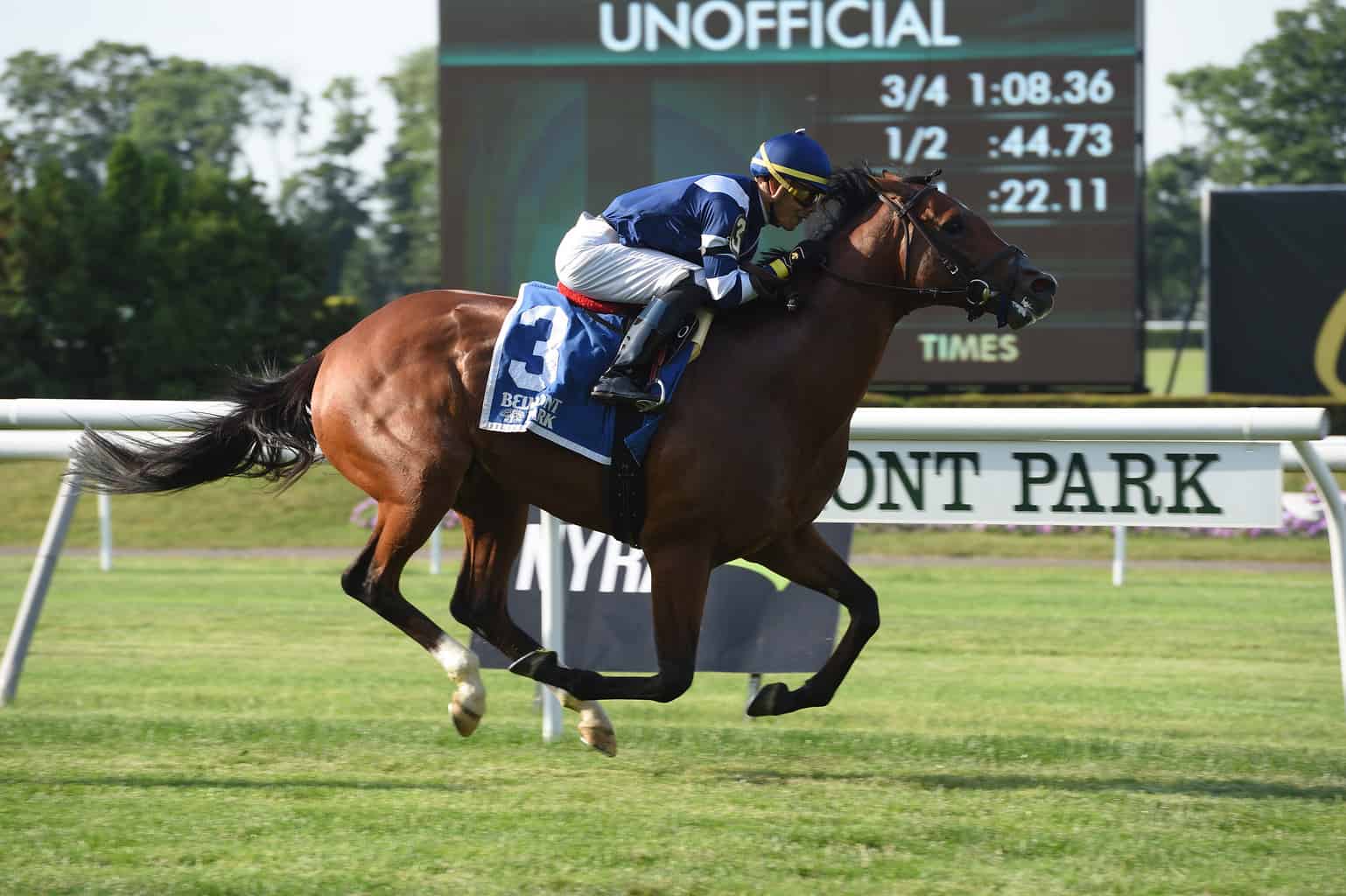 Arlington Million Preview: Oscar Performance Ready for Big Event