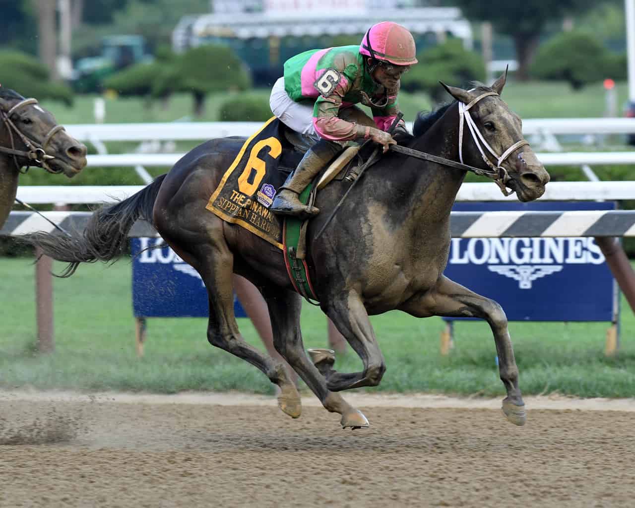 Sippican Harbor Surges Late, Steals G1 Spinaway
