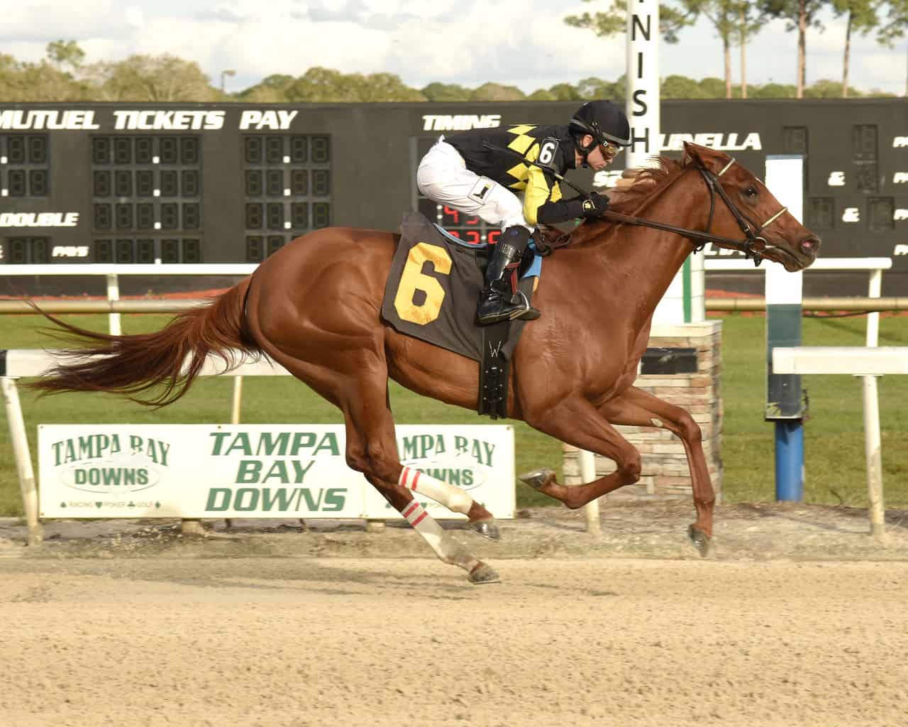 Molto Bella Monstrous in $125,000 Gasparilla