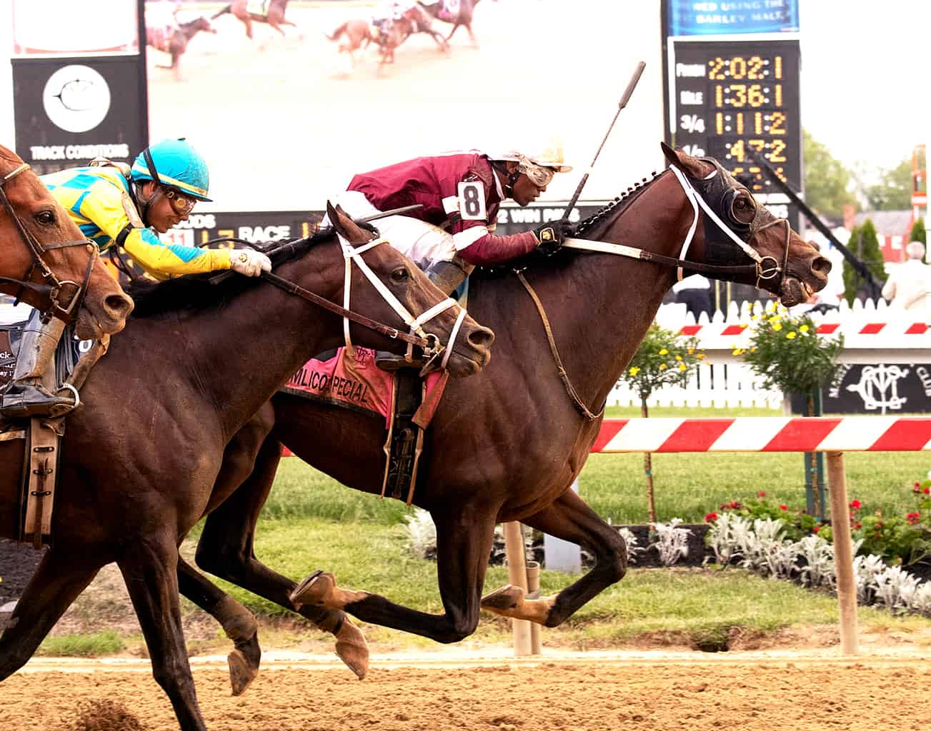 Pimlico Special Preview: Defending Champ Tenfold Returns