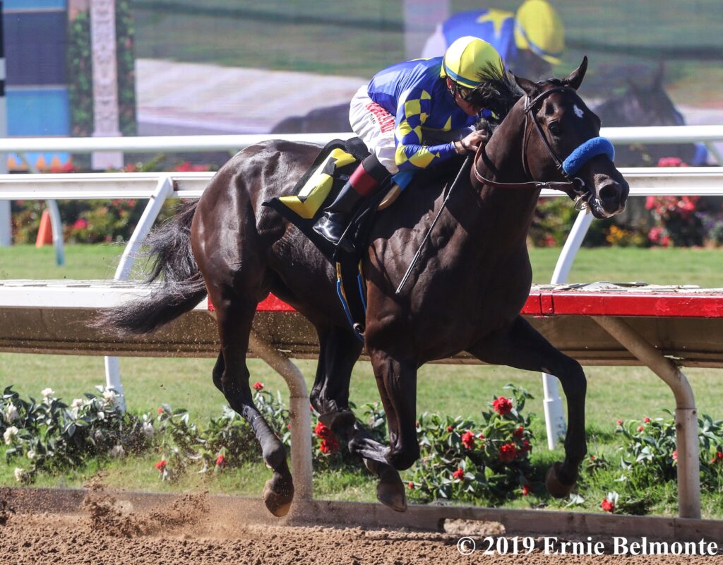 Eight Rings Ready to Rebound in American Pharoah Stakes