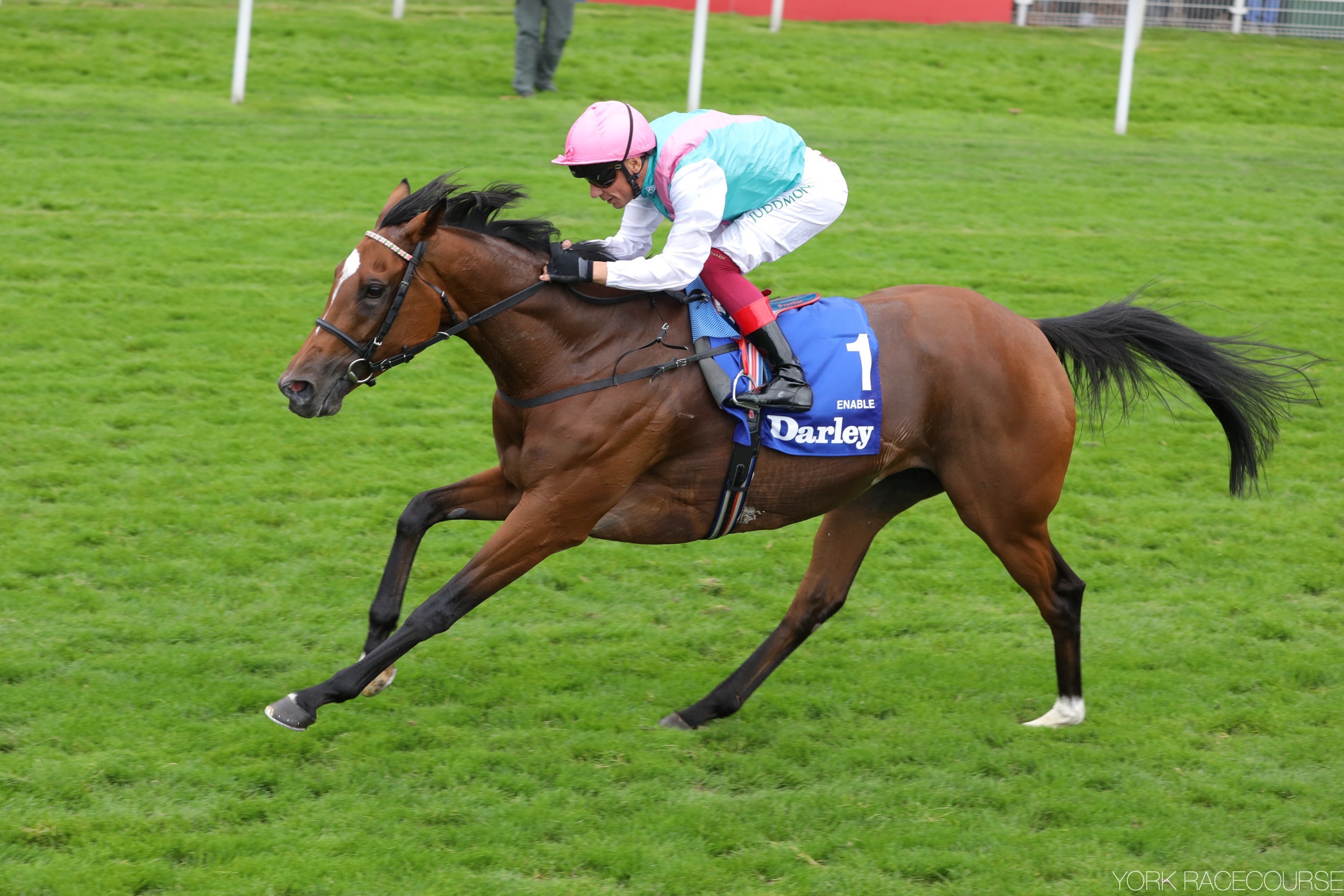 Enable Awesome in Darley Yorkshire Oaks, Gains Automatic Maker's Mark ...