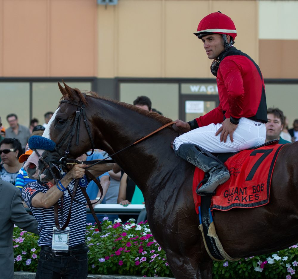King Jack Champions Gallant Bob