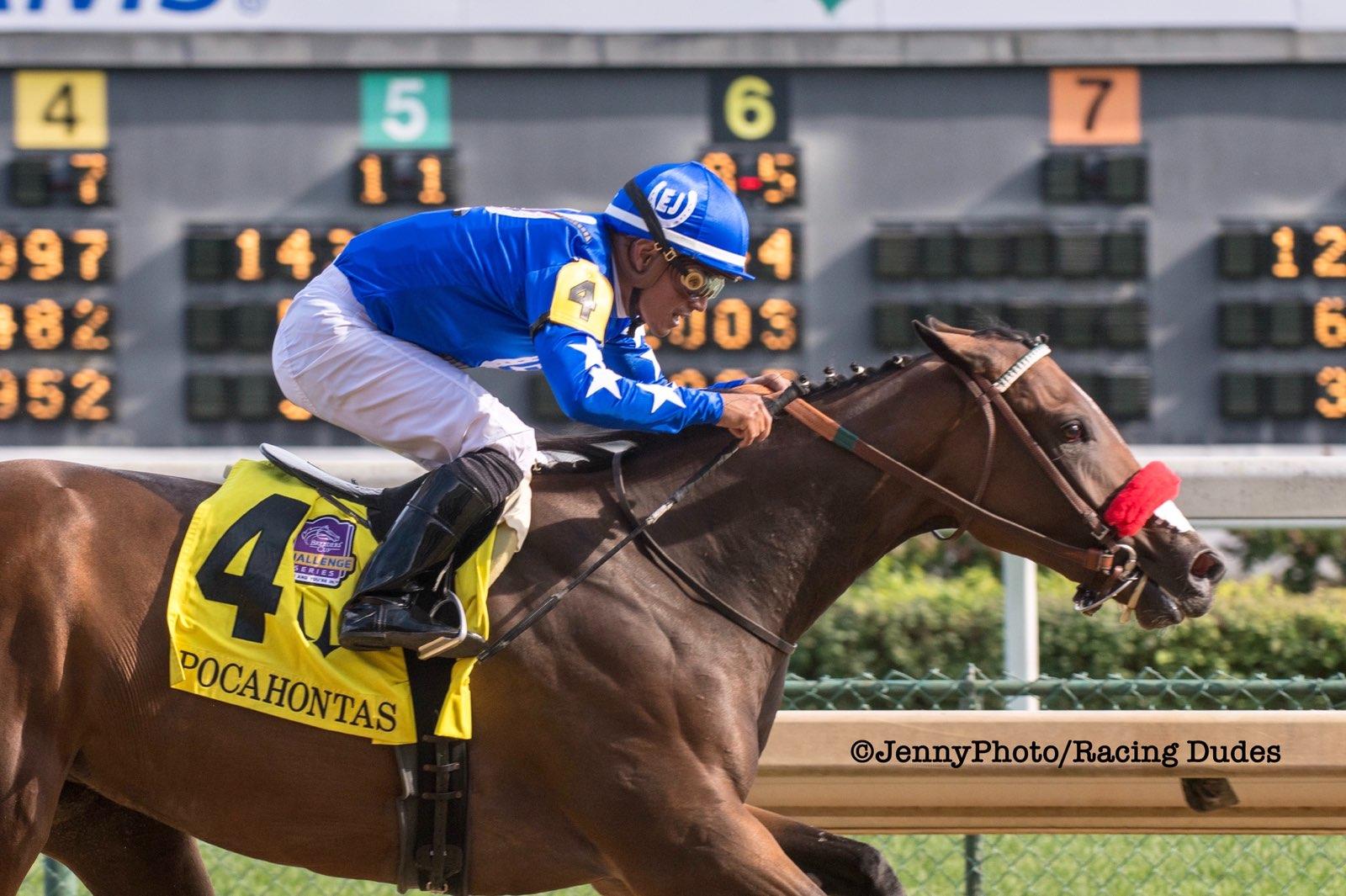Fantasy Stakes Contender Spotlight: Lazy Daisy