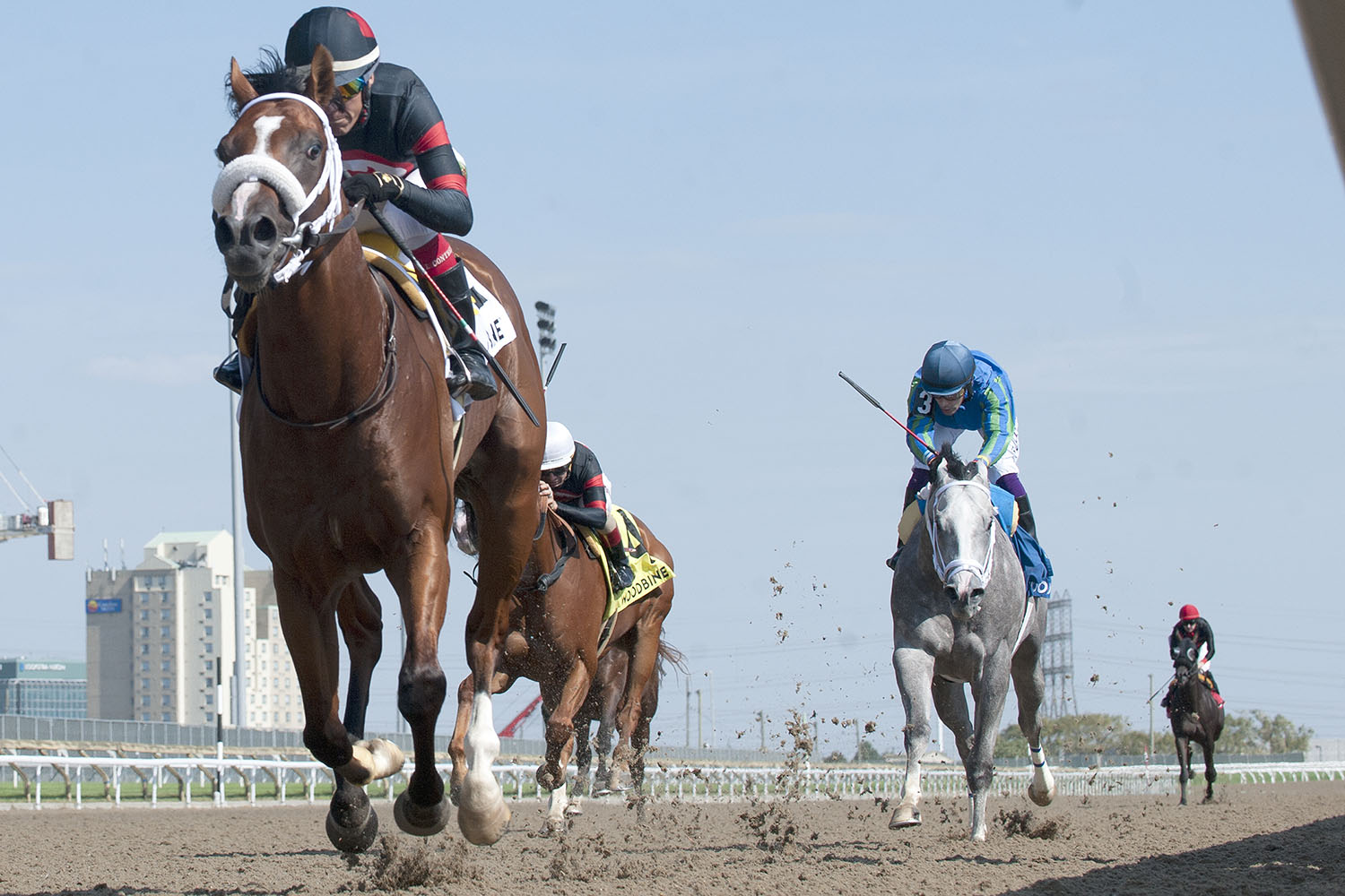 Red Giveaway Runs Away with Bull Page Victory