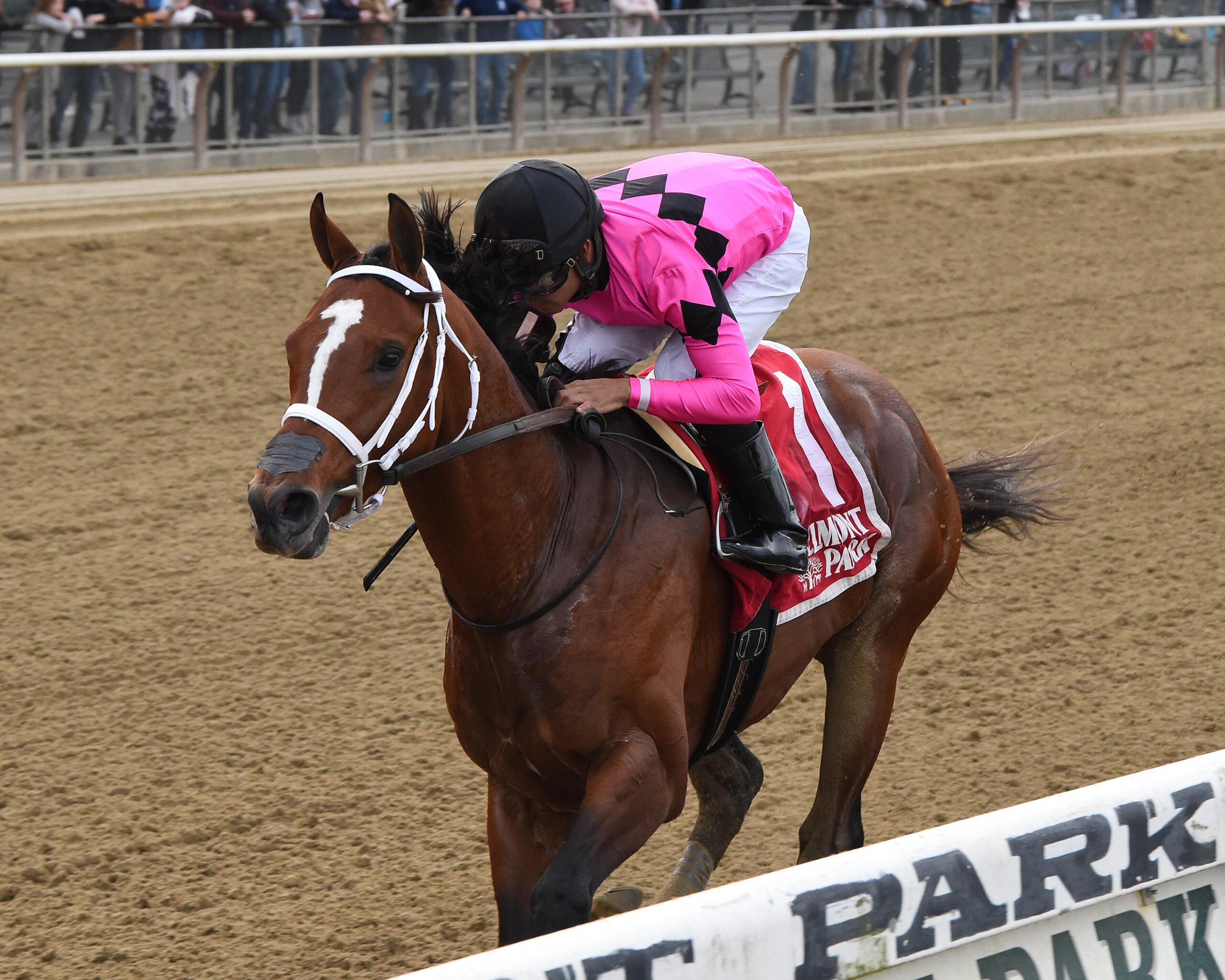 Top 5 Must See Races Left in 2019