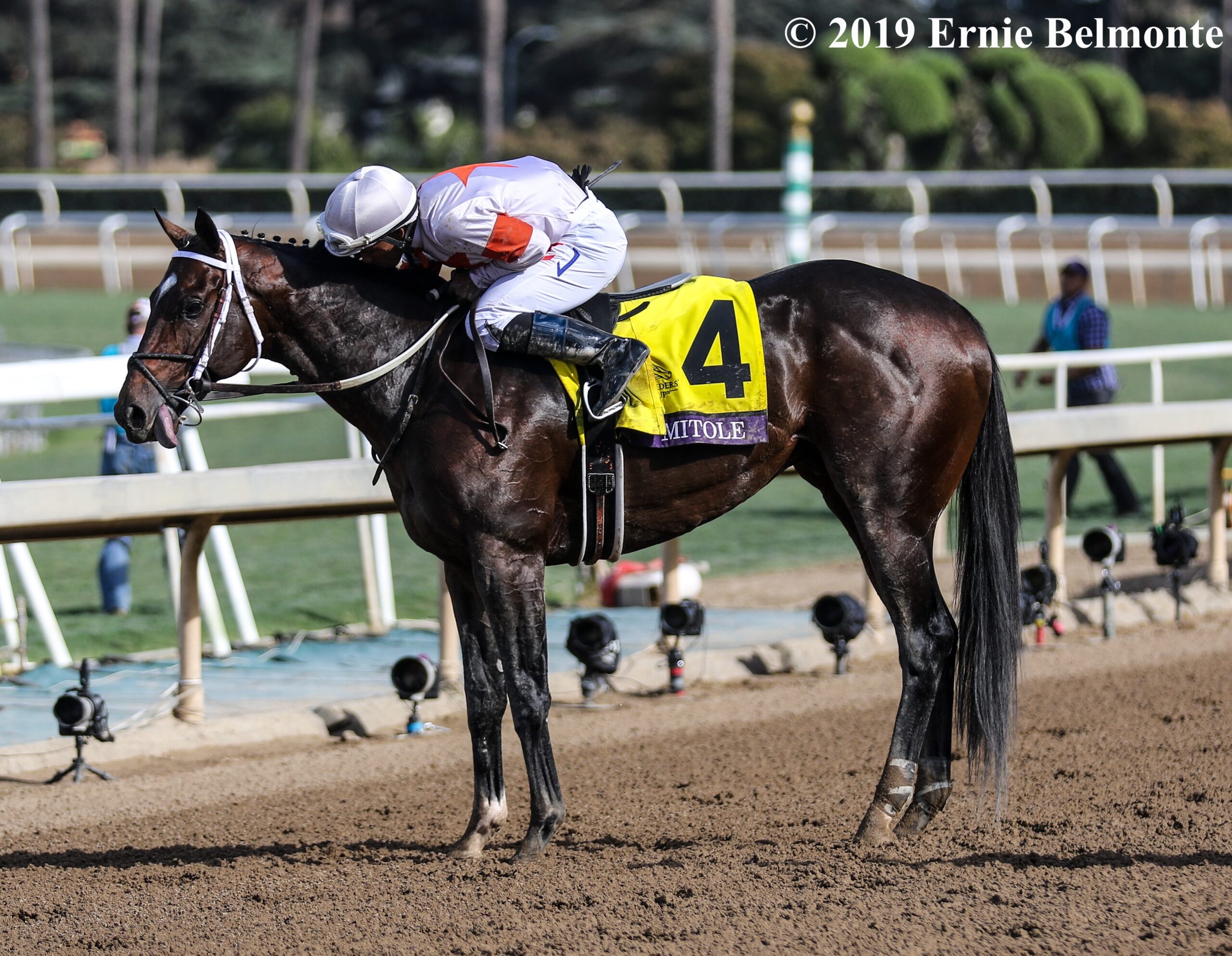 Racing Dudes Three Stars of the Week: Stars of the Cup