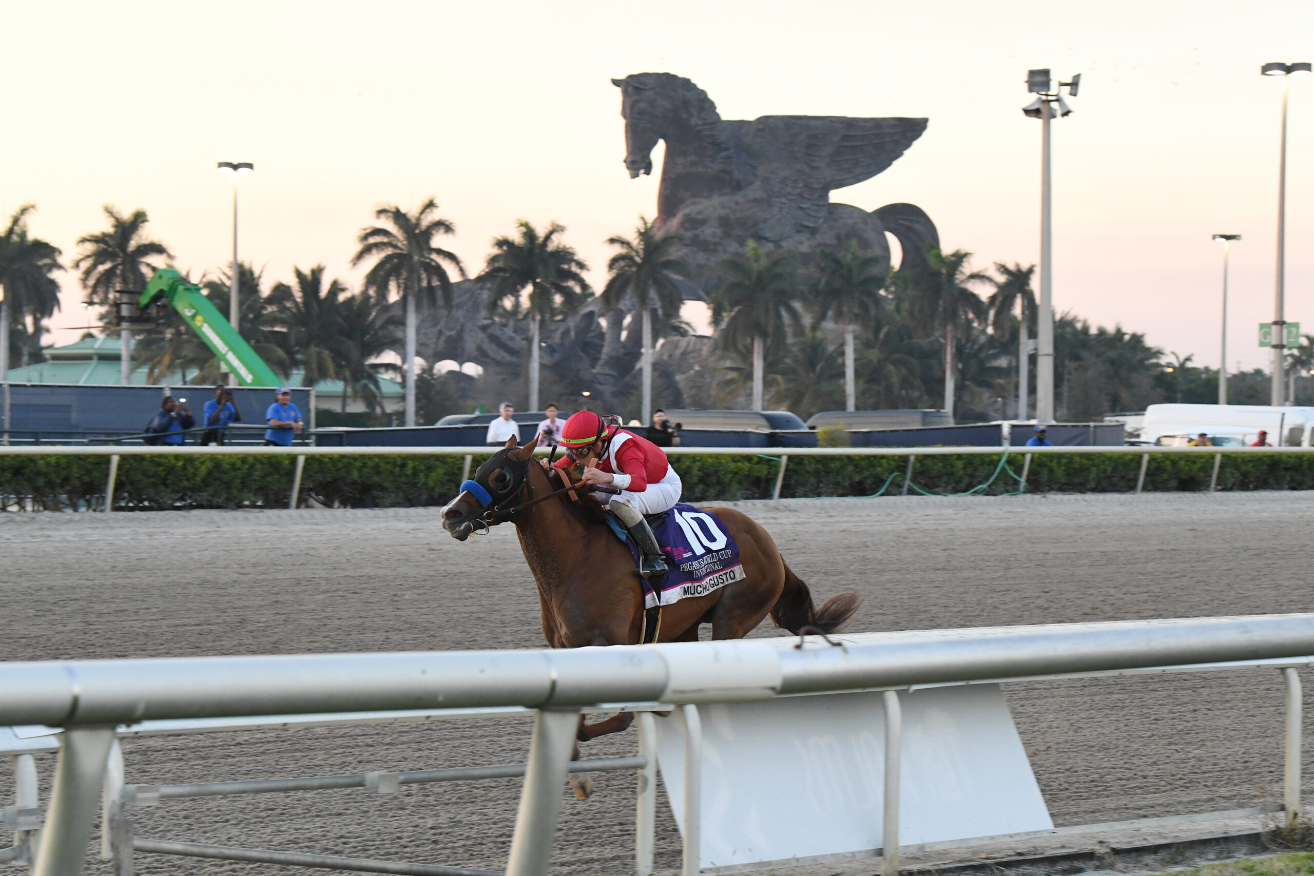 Racing Dudes Three Stars of the Week: Mucho Gusto Dominates Pegasus ...