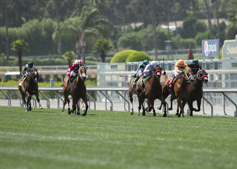 Eddie D Preview: Wildman Jack Returns to Turf