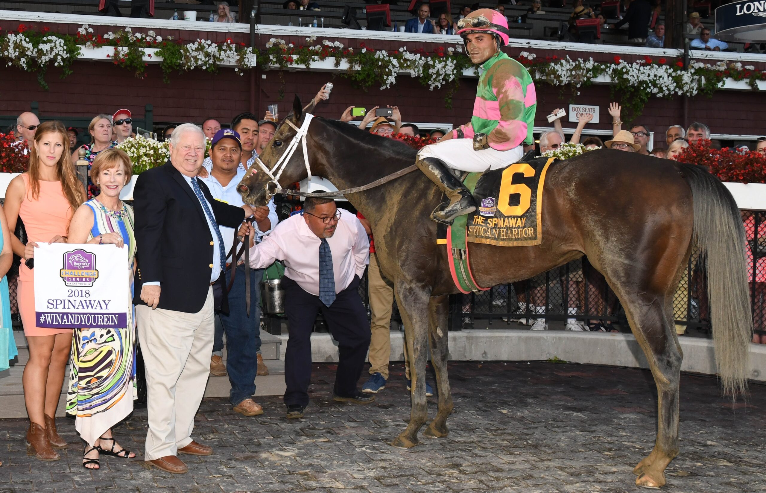 Chichakly Ready to Saddle First Starter