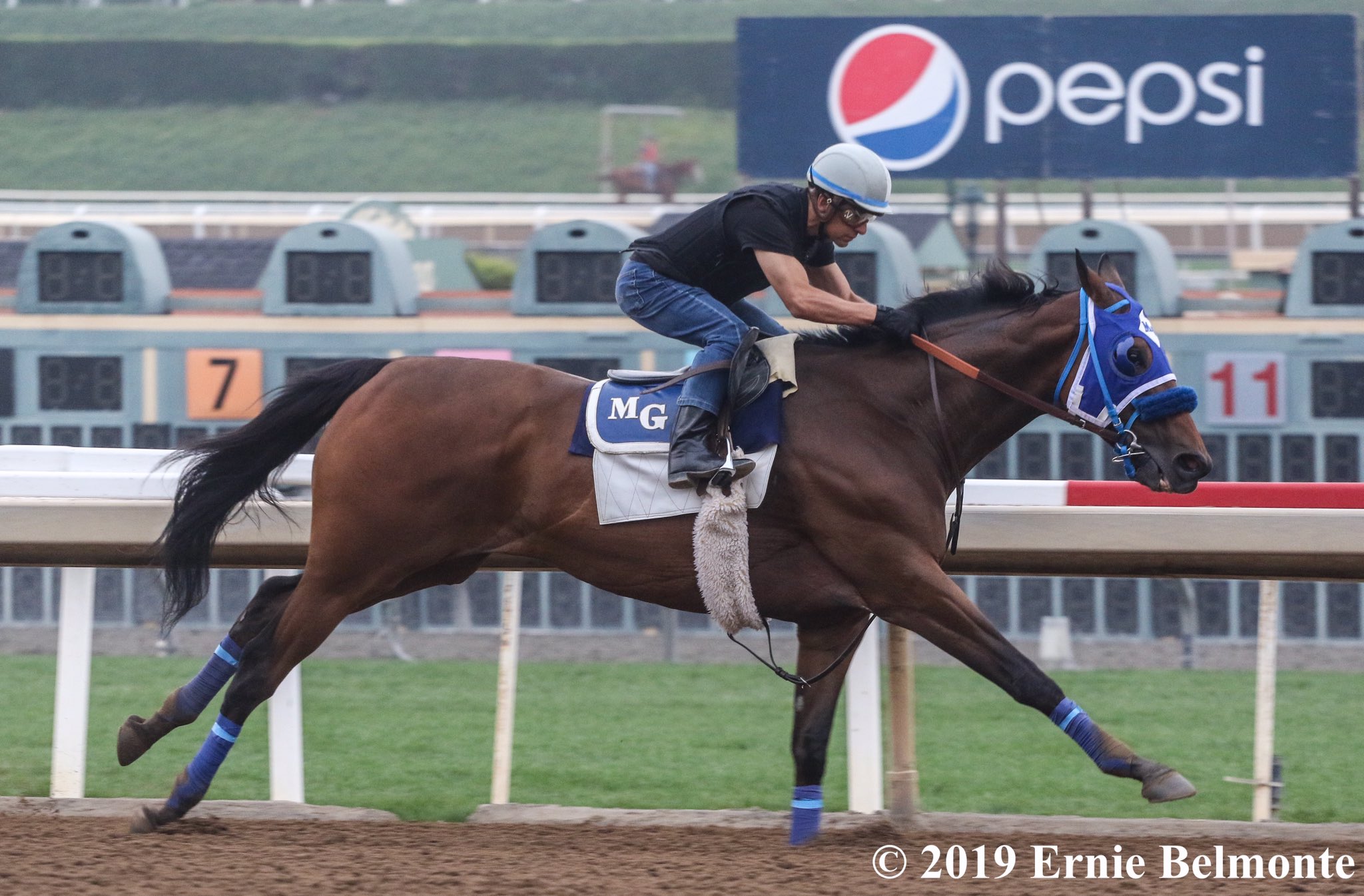 American Preview: Sharp Samurai Returns in Meet's Final Stakes