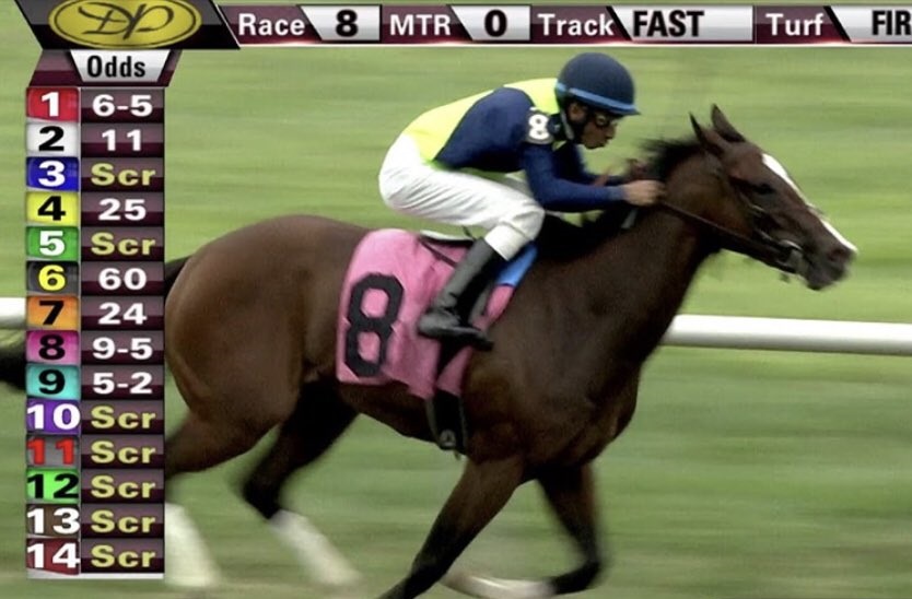 NYSSS Statue of Liberty Preview: Dixie Cannon Makes State-bred Debut