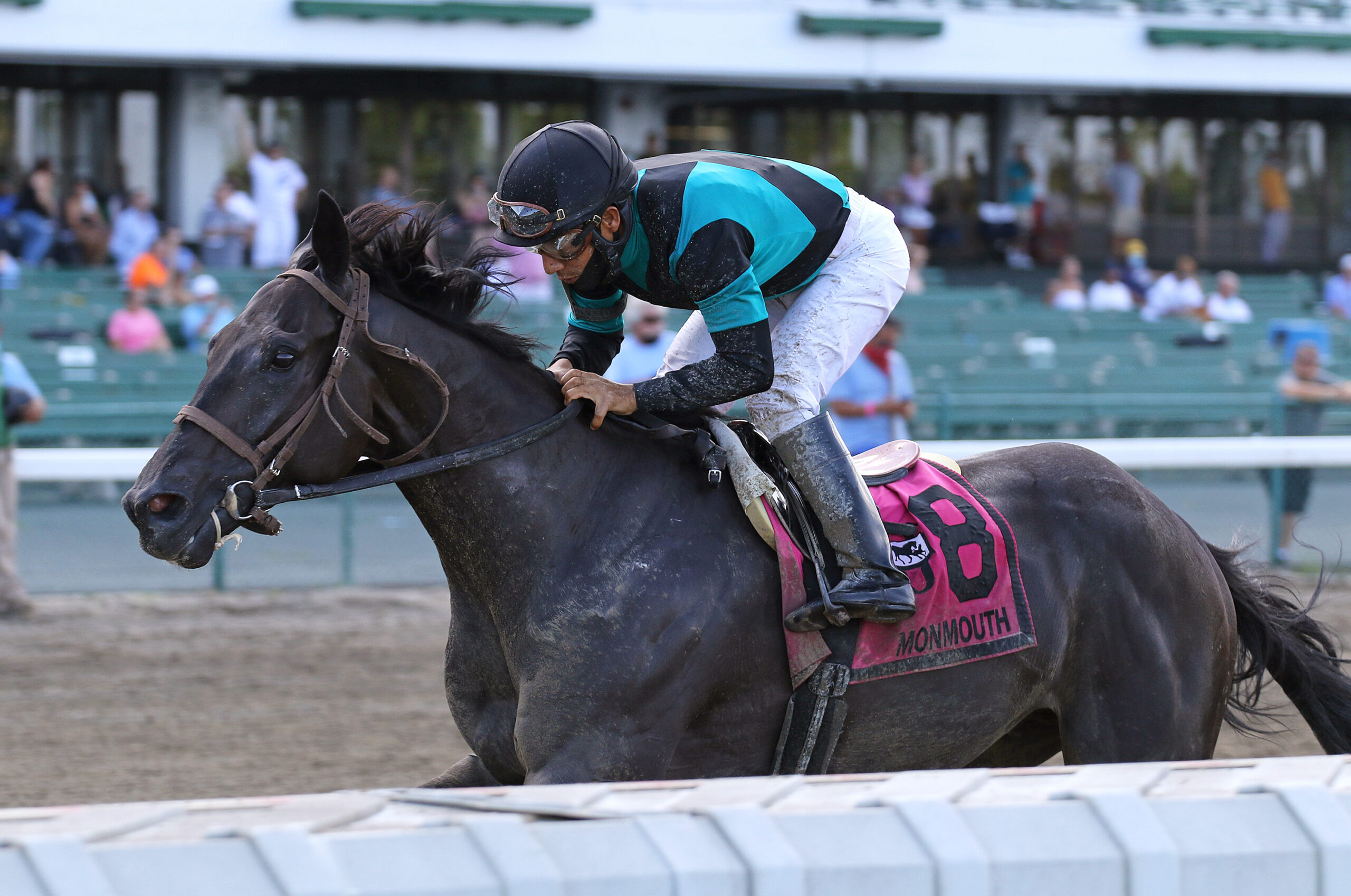 Golden Brown Takes Second Straight Irish War Cry