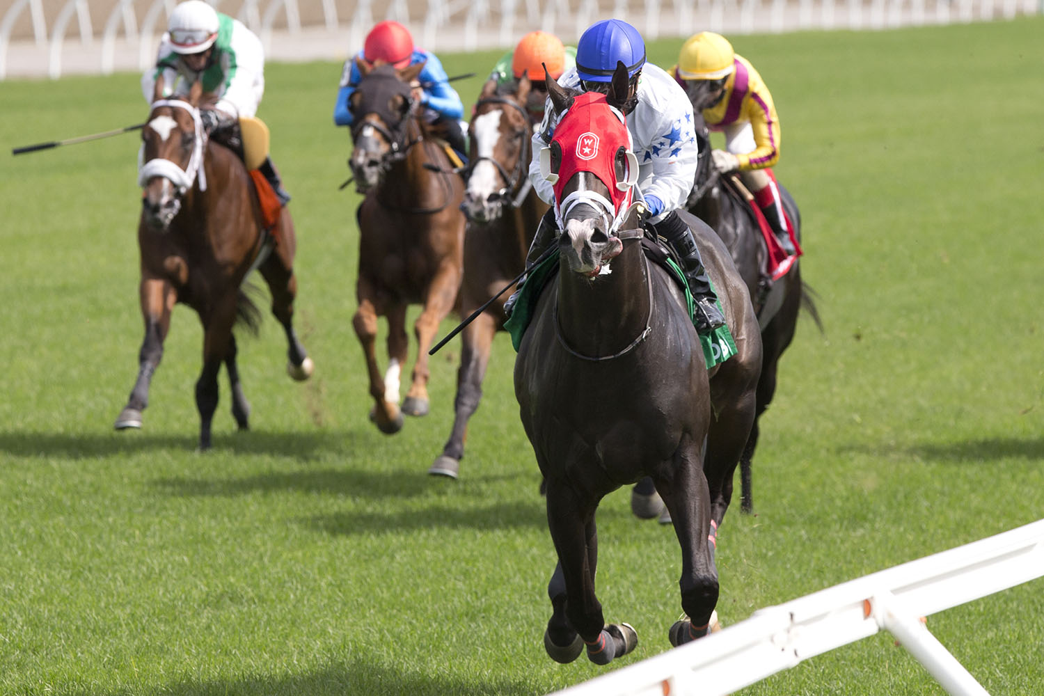 Francatelli Makes it Three Straight in King Corrie