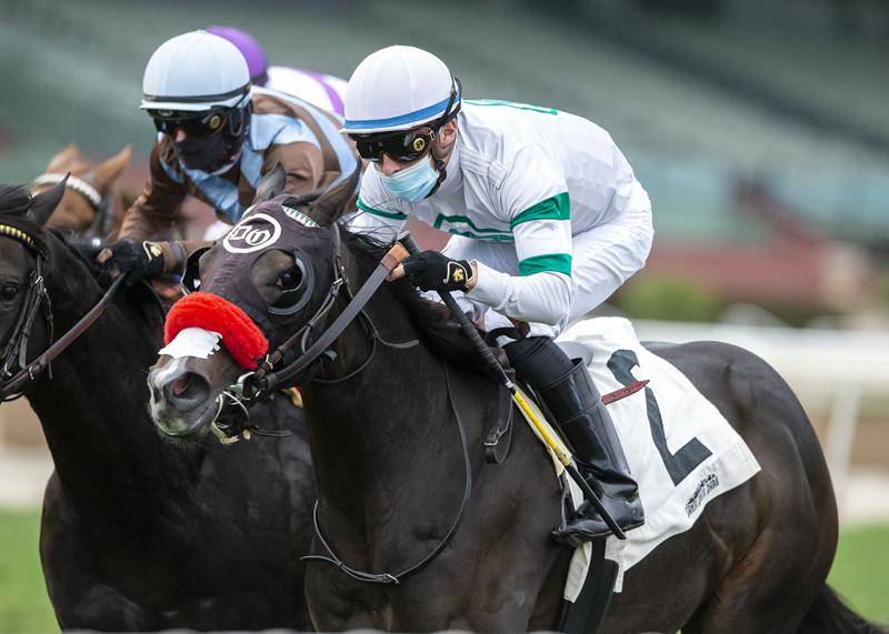 Racing Dudes Three Stars of the Week: All Turf, All Brilliant