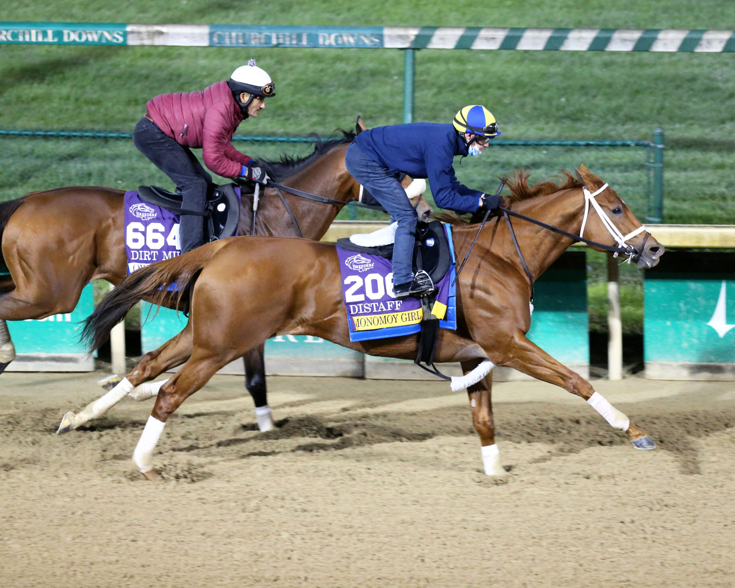 2018 Champ Monomoy Girl 8/5 Favorite in Longines Distaff Return