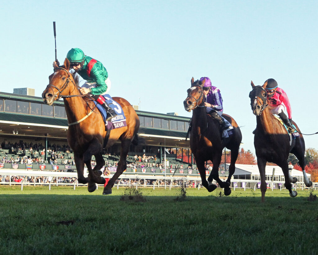 Tarnawa Terrific In Turf