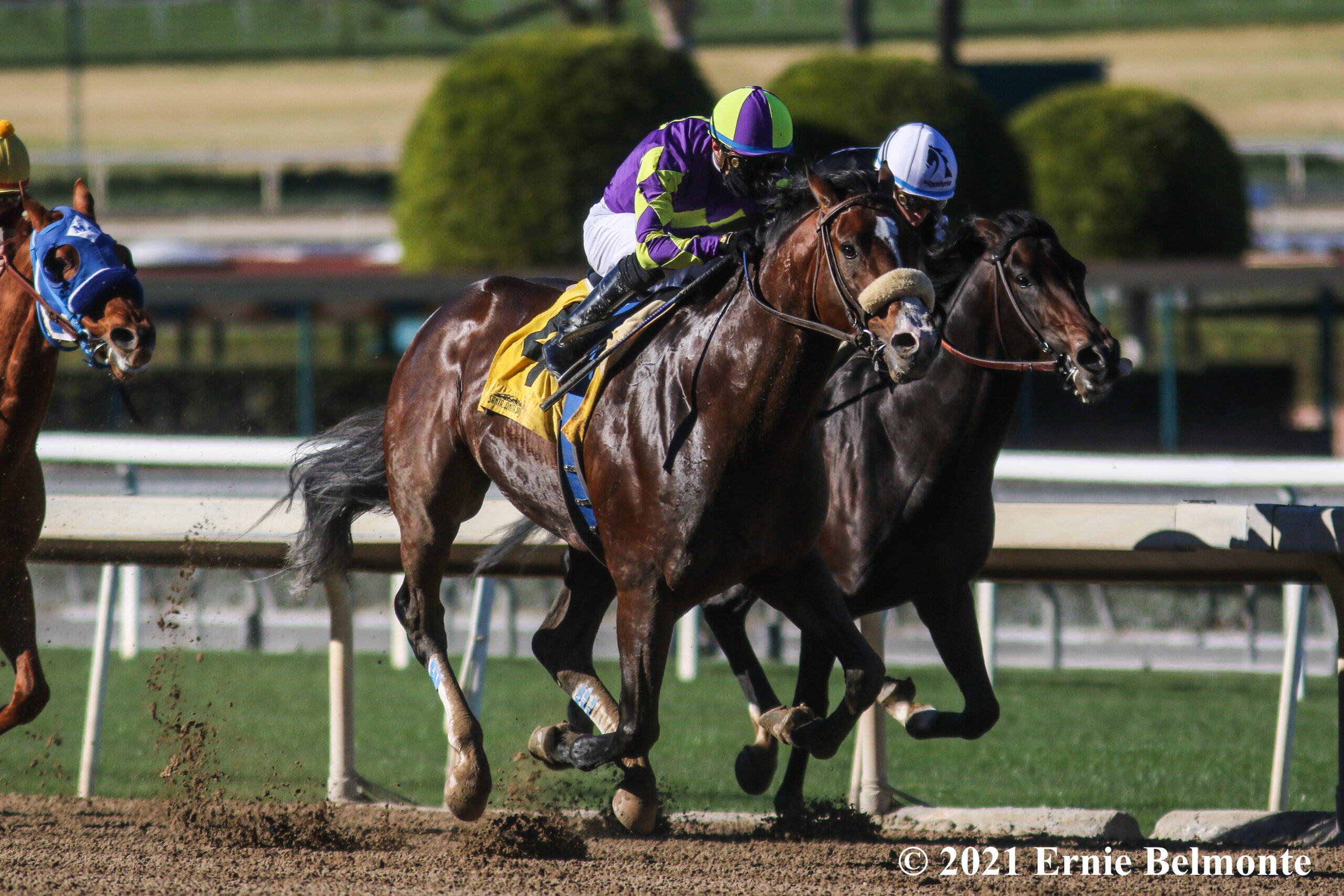 Racing Dudes Three Stars of the Week: Derby Excitement Building