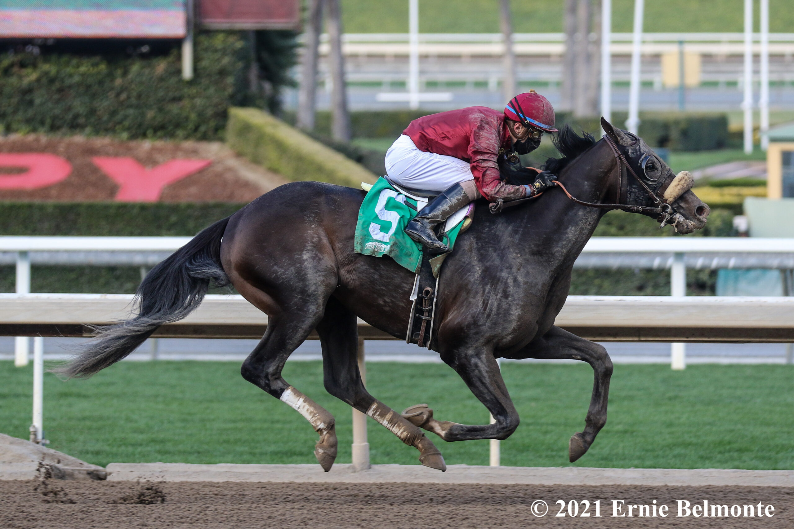 Robert B. Lewis Preview: Competitive Field Kick-Starts Santa Anita's ...