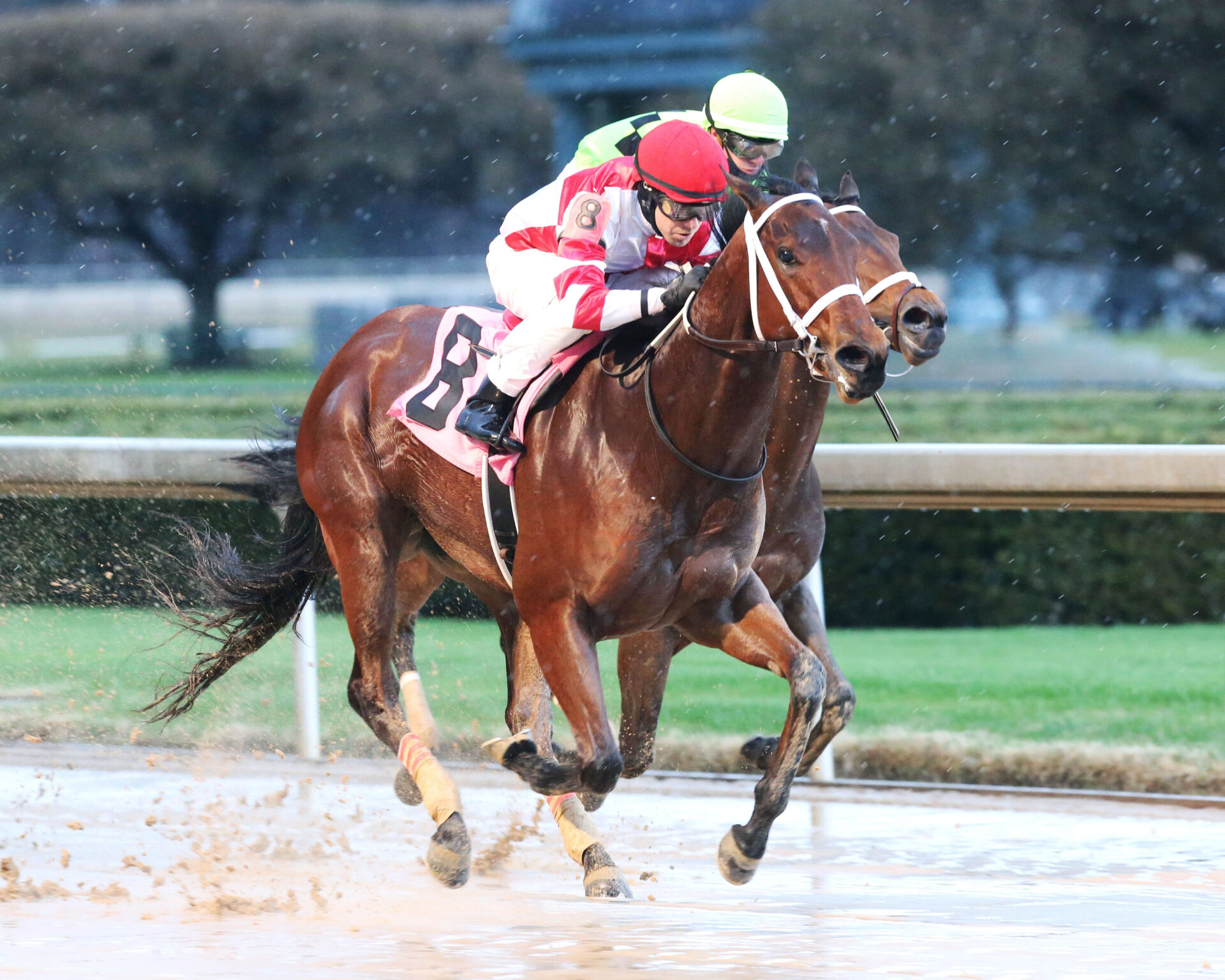 Despite Inexperience, Windmill Strong In Dixie Belle - Racing Dudes