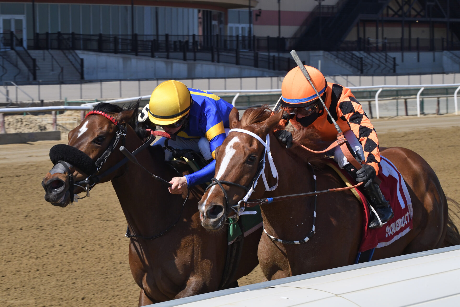 Just Read It Earns First Stakes Victory In Cicada - Racing Dudes