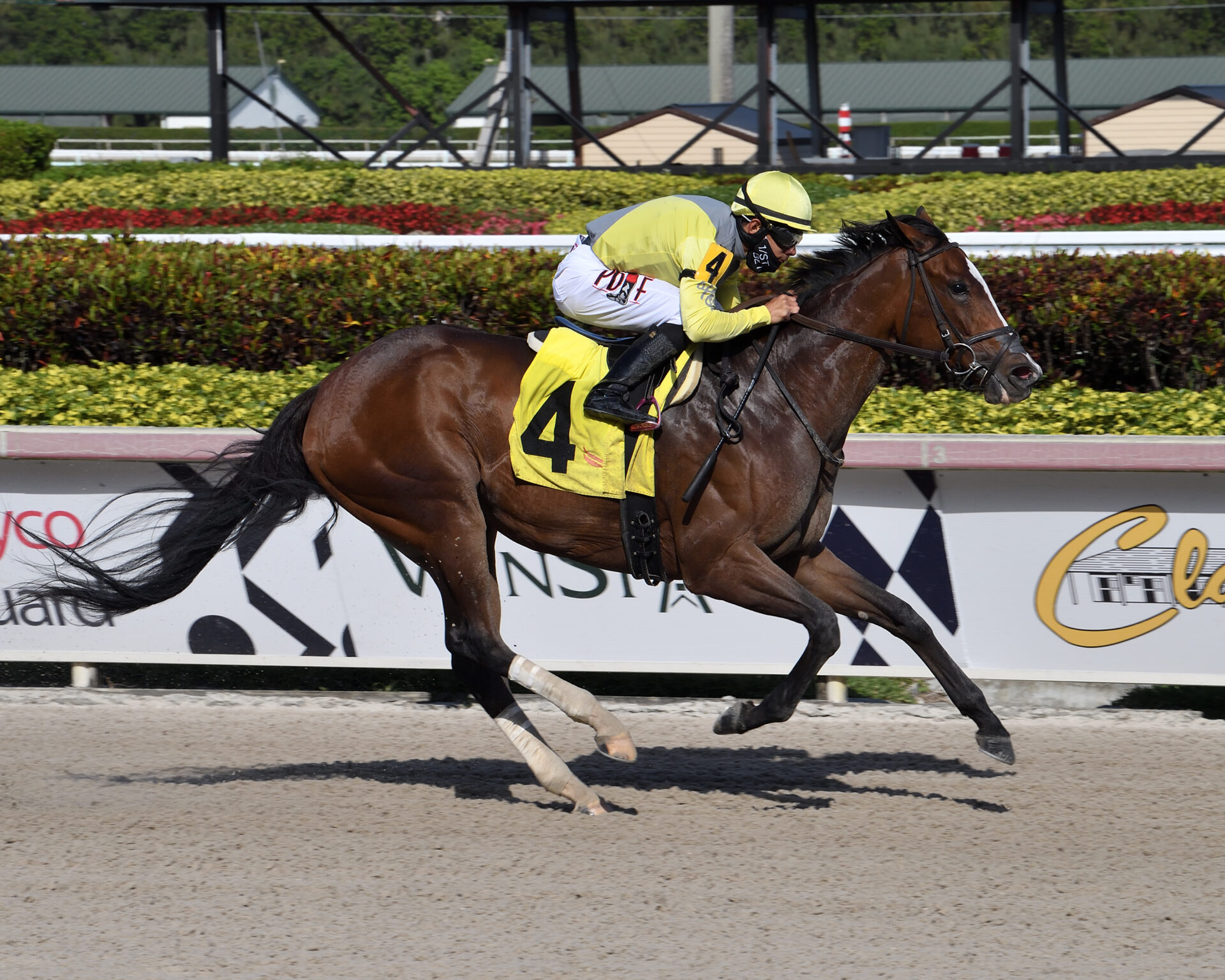 Pacific Gale's Victory In Hurricane Bertie 1 Of 5 Wins For Alvarado ...