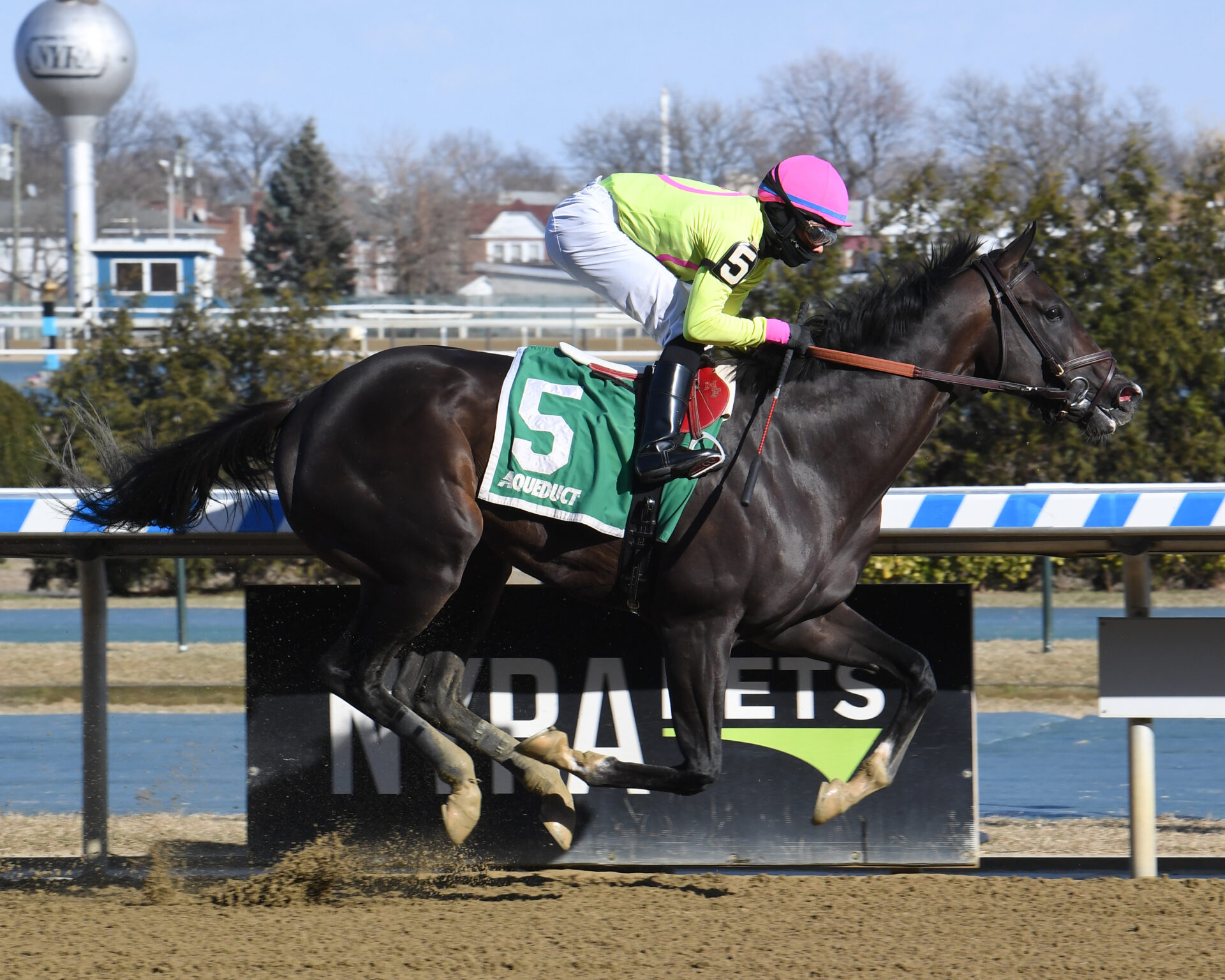 Excellent Timing Puts On A Show In Damon Runyon - Racing Dudes