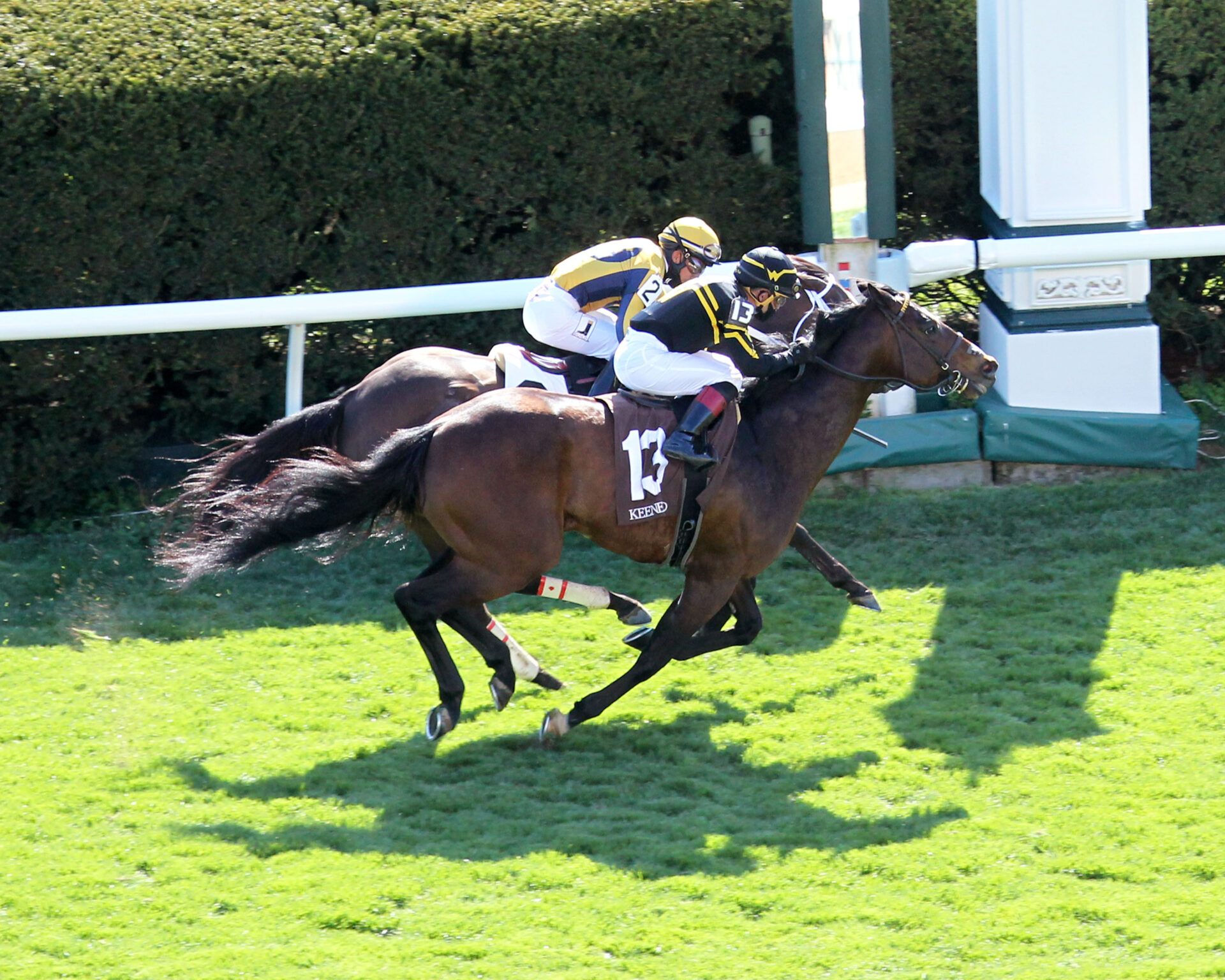 Bound for Nowhere Nips Imprimis in Epic Shakertown Finish - Racing Dudes