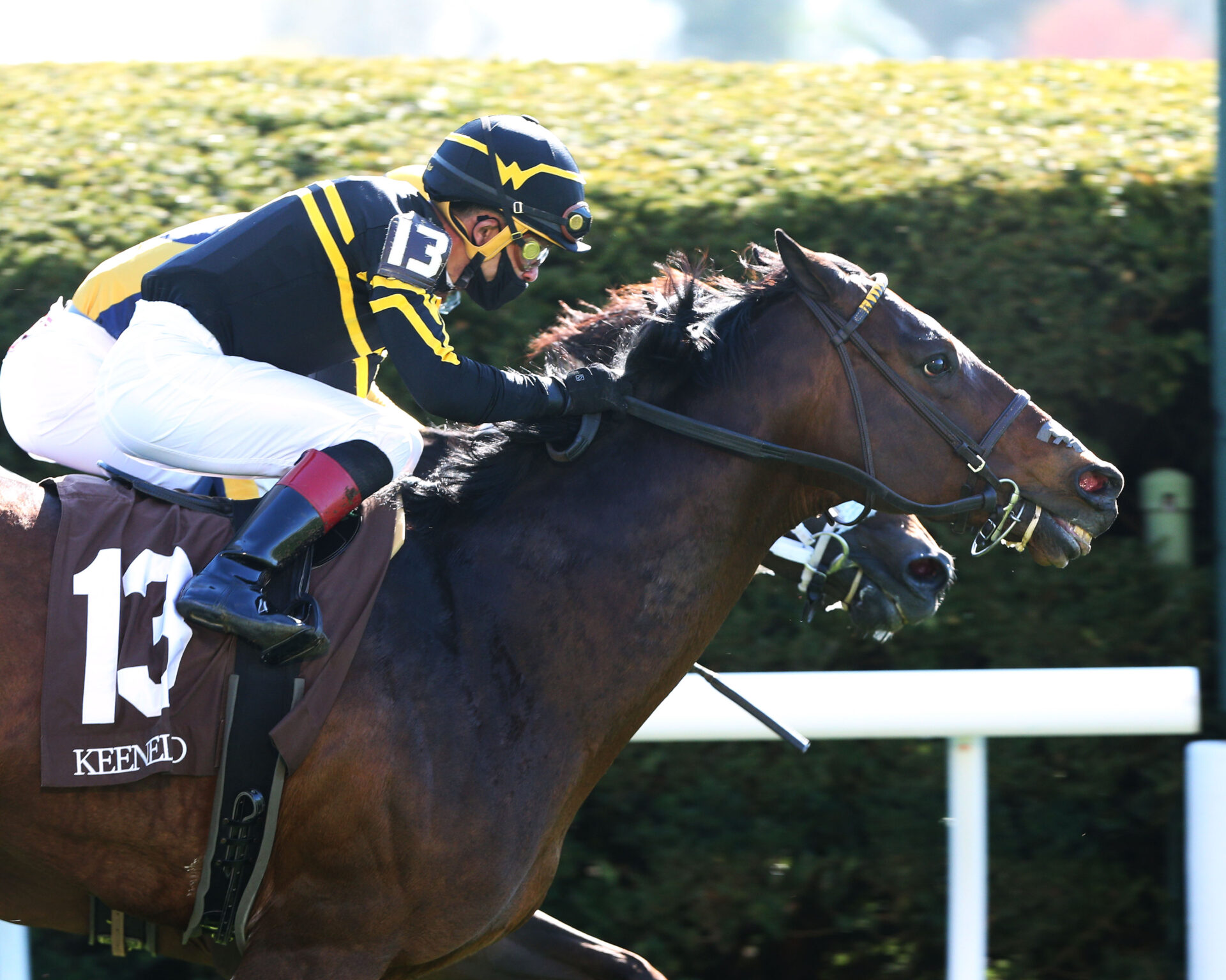 Bound for Nowhere Nips Imprimis in Epic Shakertown Finish - Racing Dudes