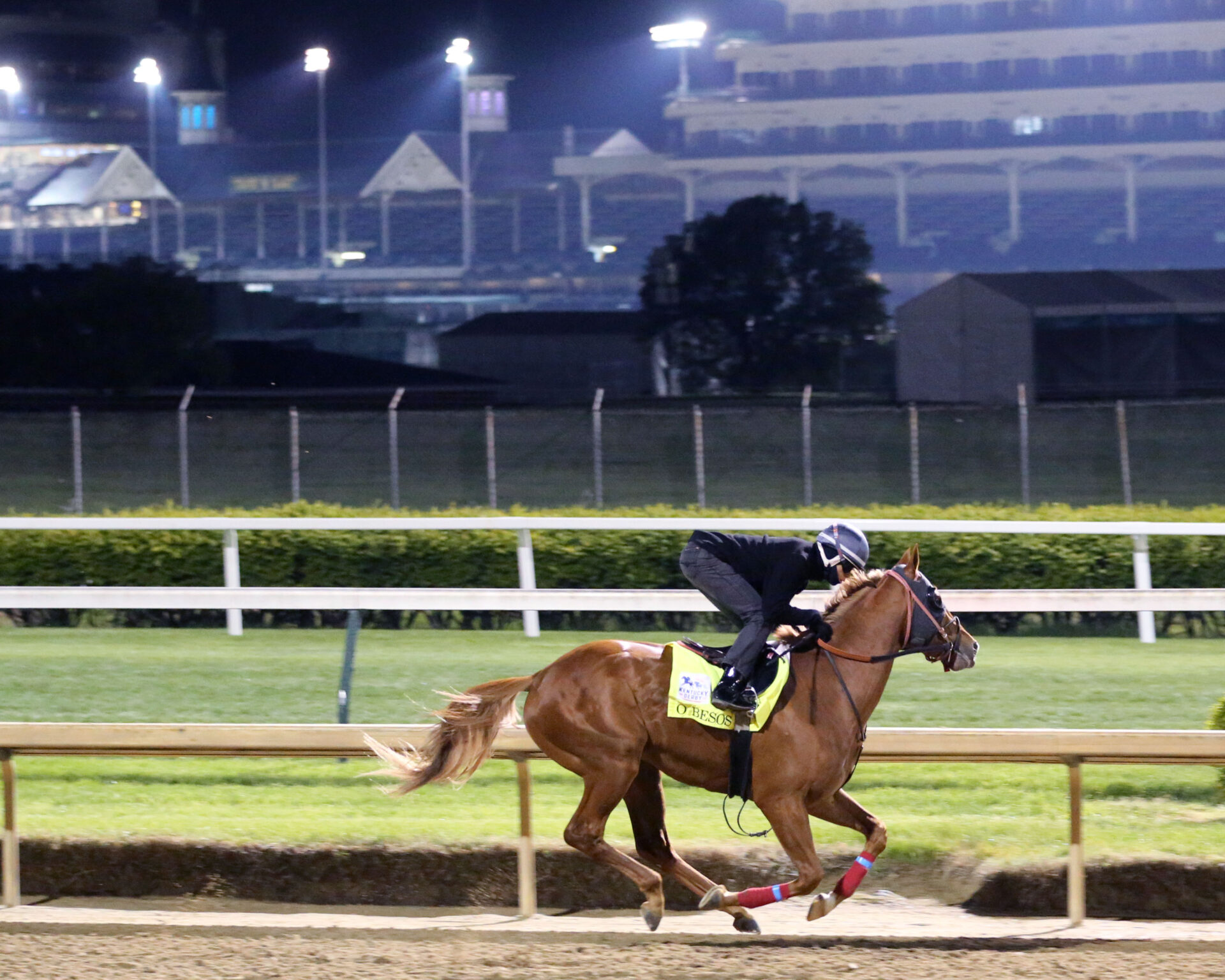 Matt Winn Preview: Kentucky Derby Trail Also-Rans Get Another Shot ...