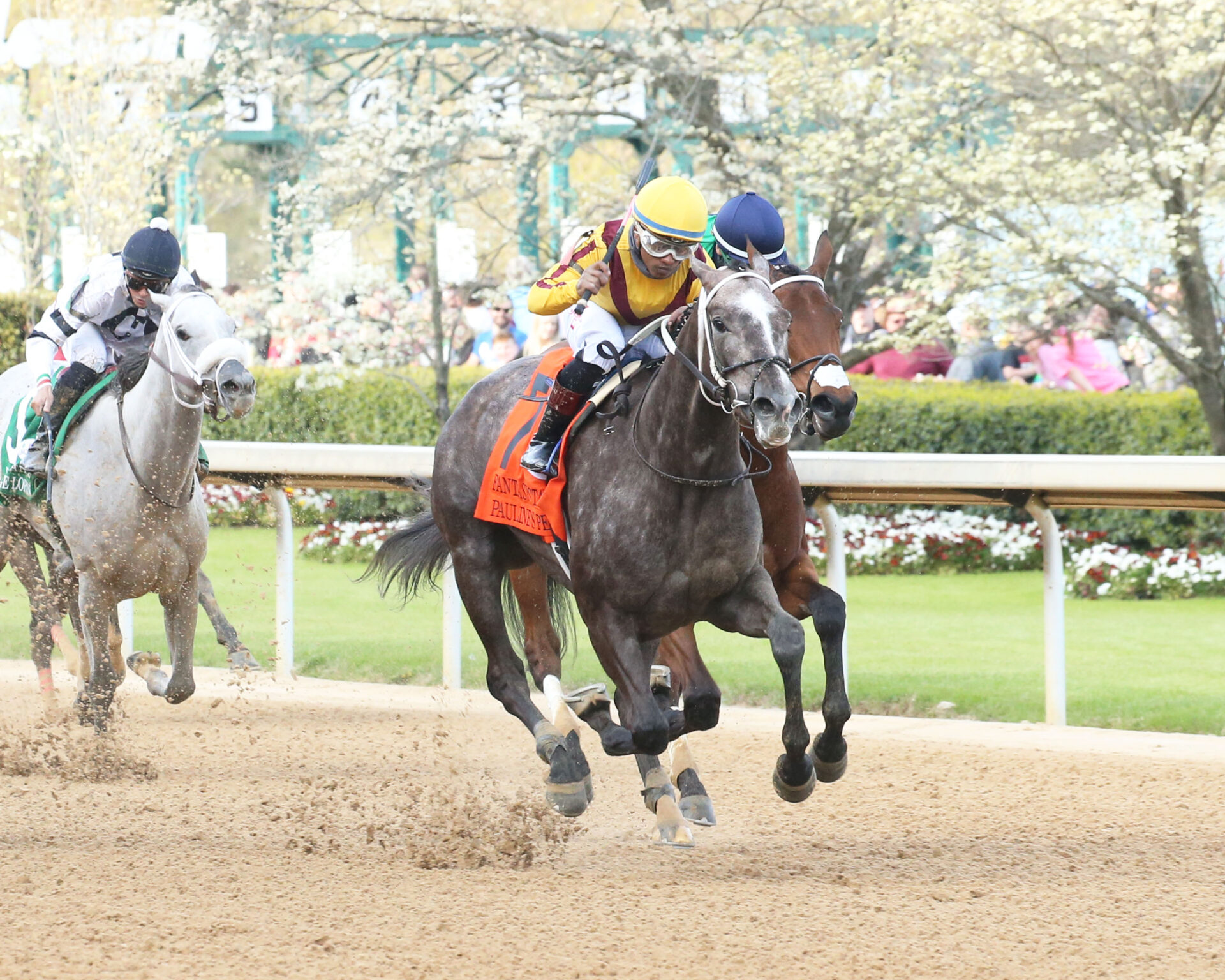Pauline's Pearl Living a Fantasy With Victory - Racing Dudes