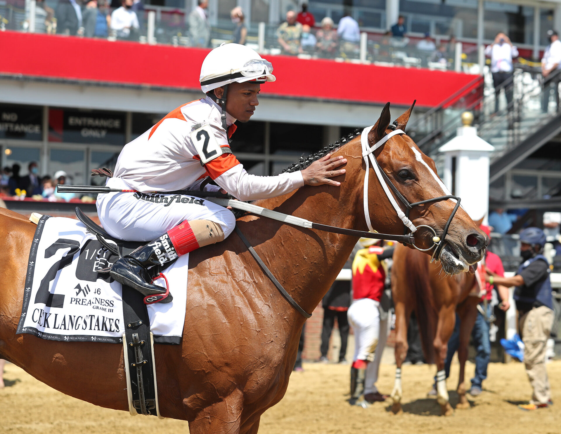 Mighty Mischief Back At Pimlico For Concern - Racing Dudes