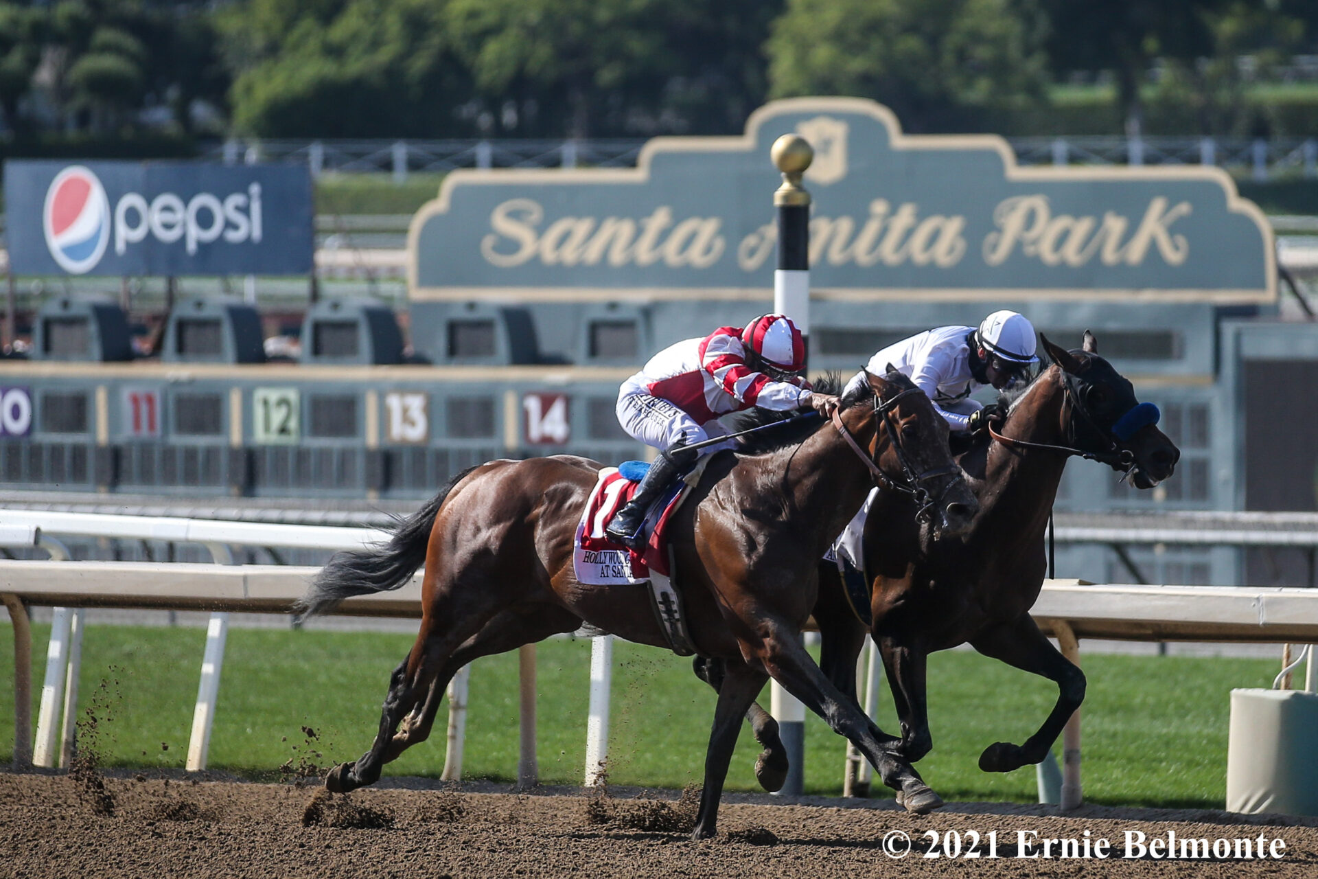 Country Grammer Re-Breaks, Takes Hollywood Gold Cup - Racing Dudes