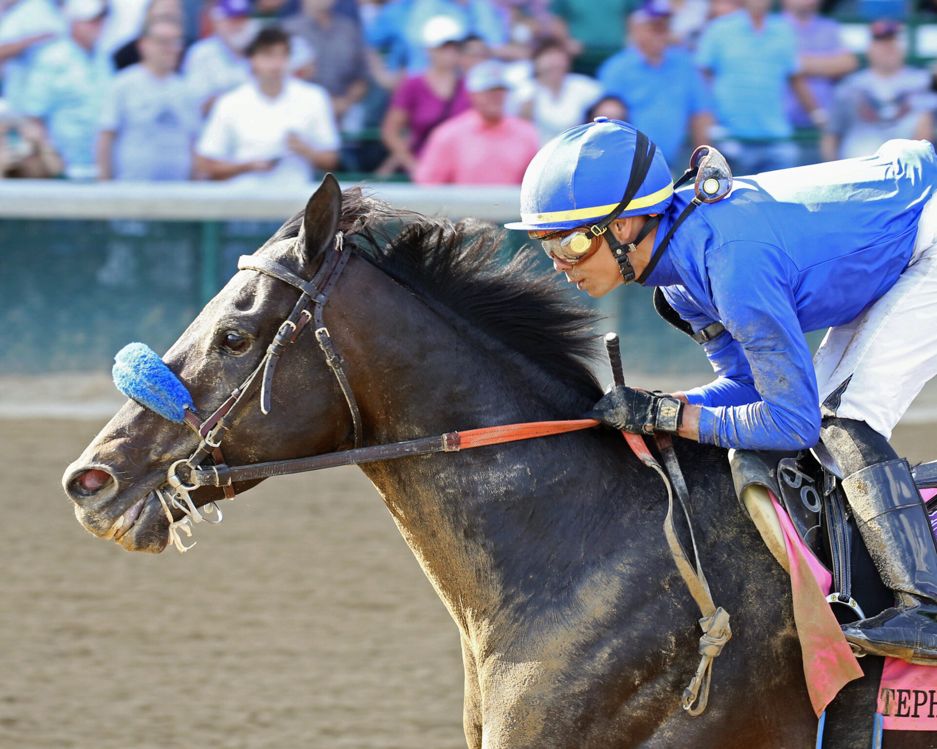 Mighty Maxfield Much The Best In Stephen Foster - Racing Dudes