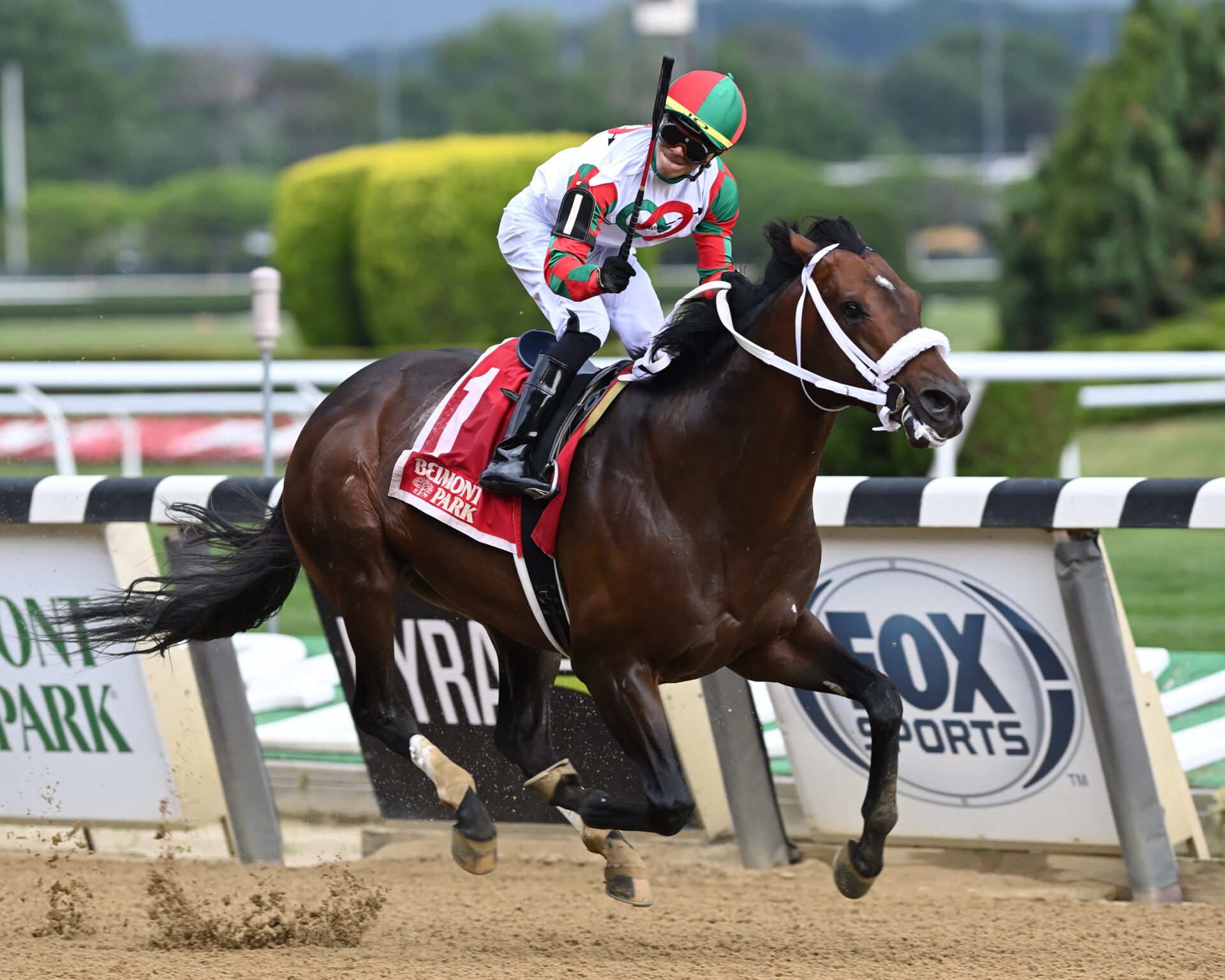 John A. Nerud Preview: Firenze Fire Goes For Third Straight Win ...